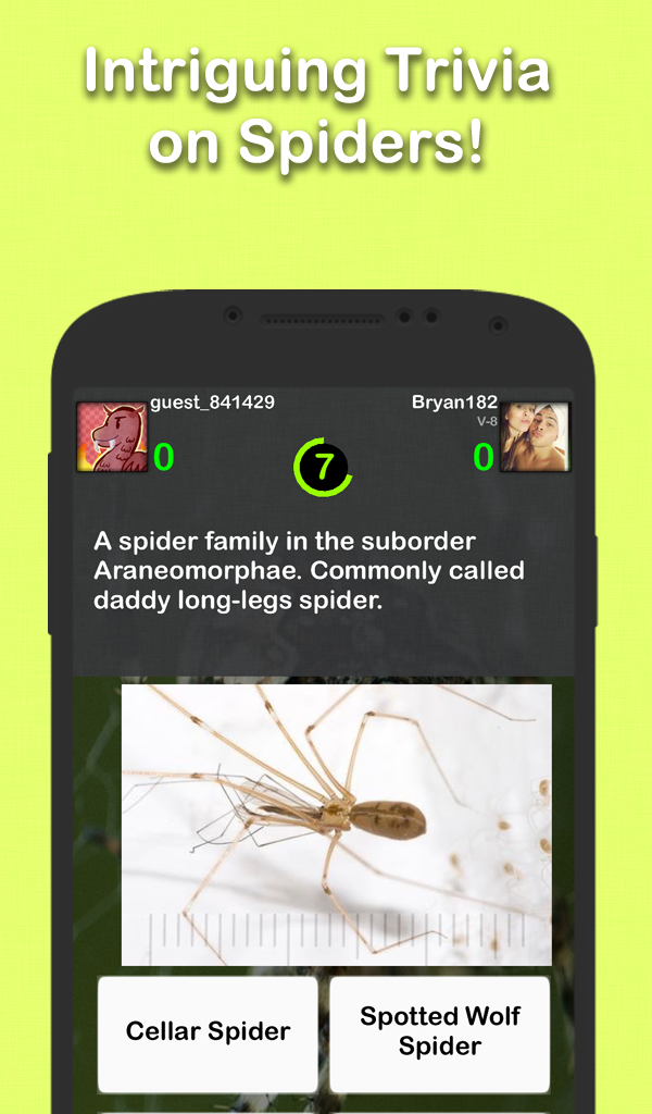 Guess the Spider Quiz - App on Amazon Appstore