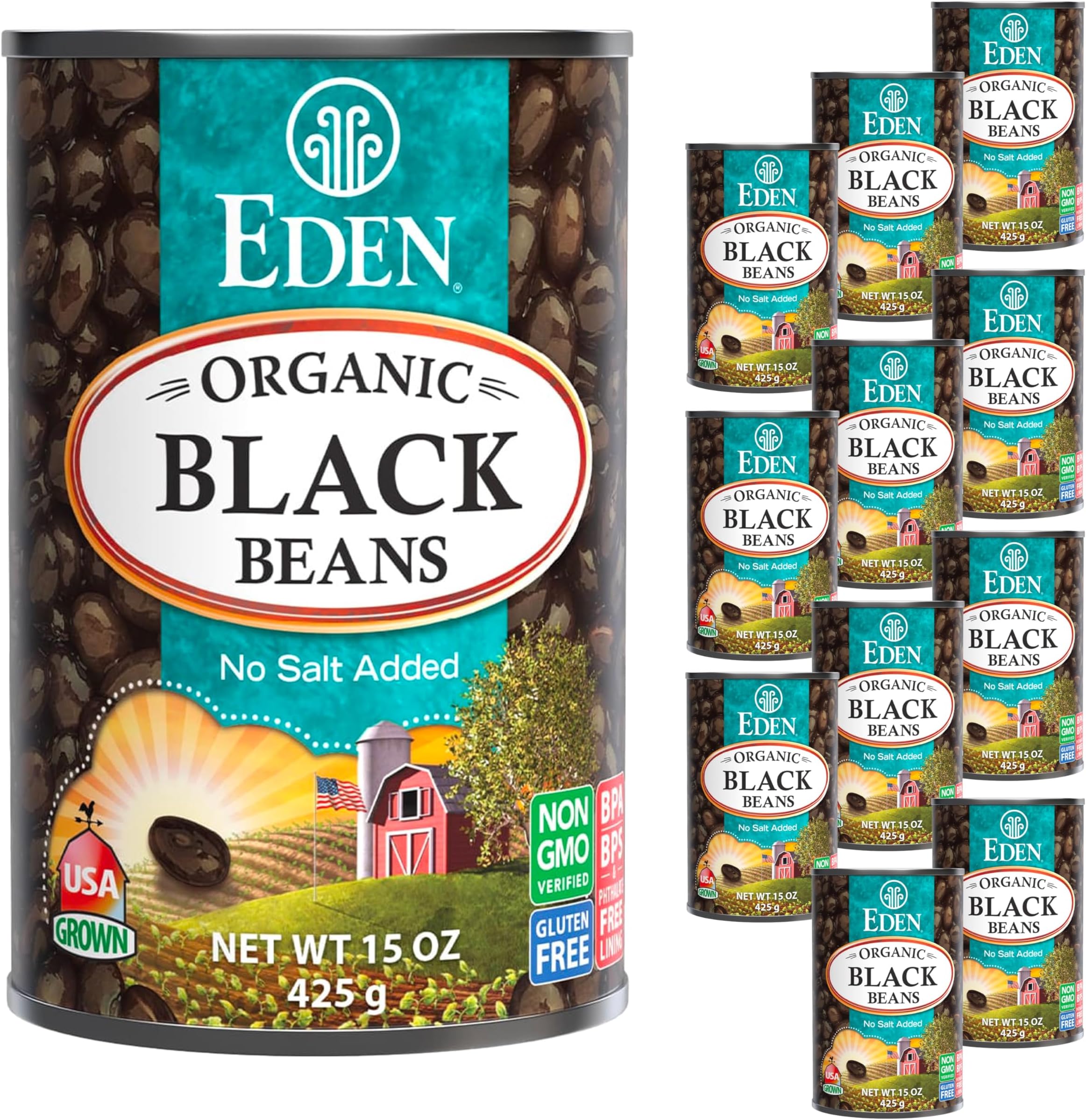 Amazon.com : SERIOUS Bean Co Organic Black Beans & Garbanzo Beans with ...