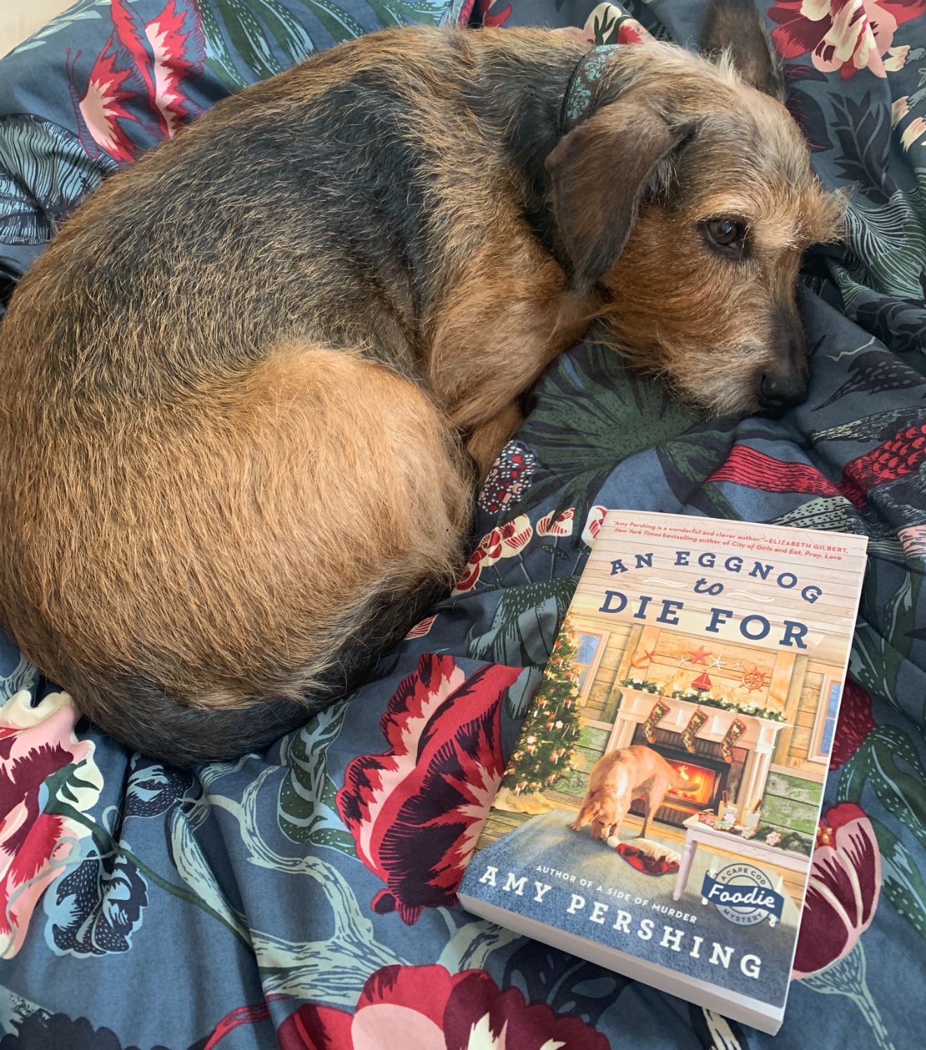 Amazon.com: An Eggnog to Die For (A Cape Cod Foodie Mystery ...