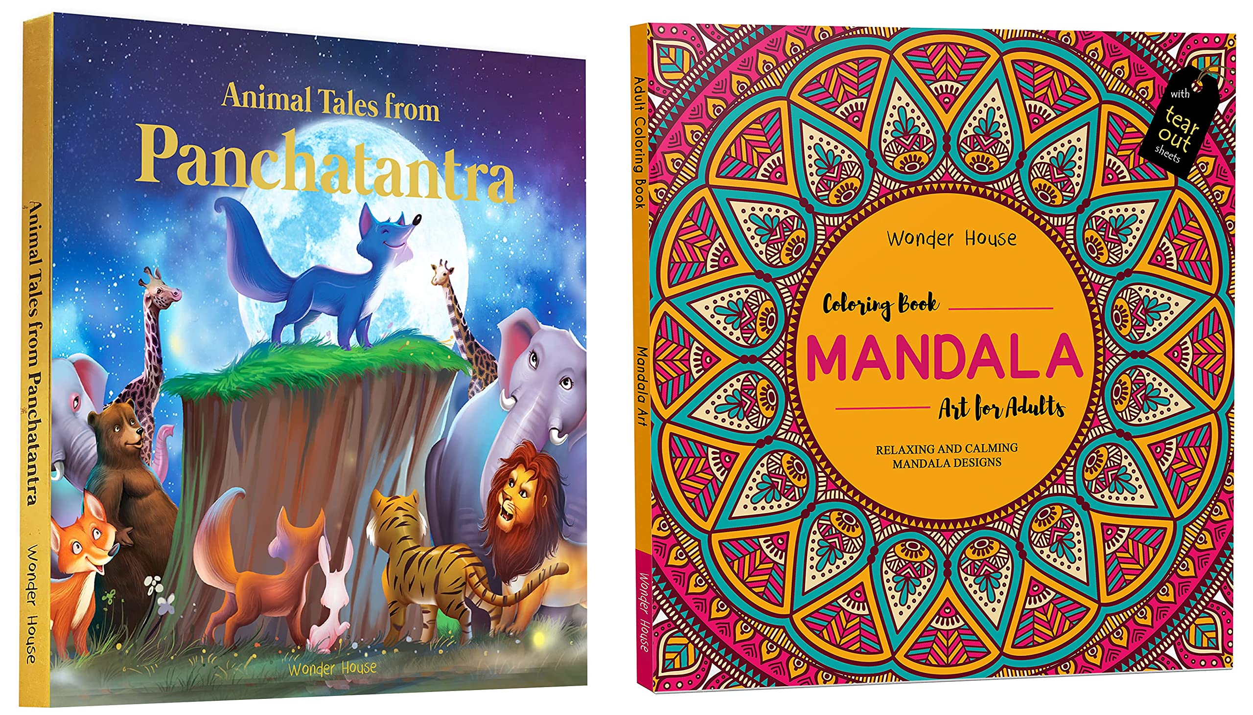 Buy Animals Tales From Panchtantra: Timeless Stories for Children From ...