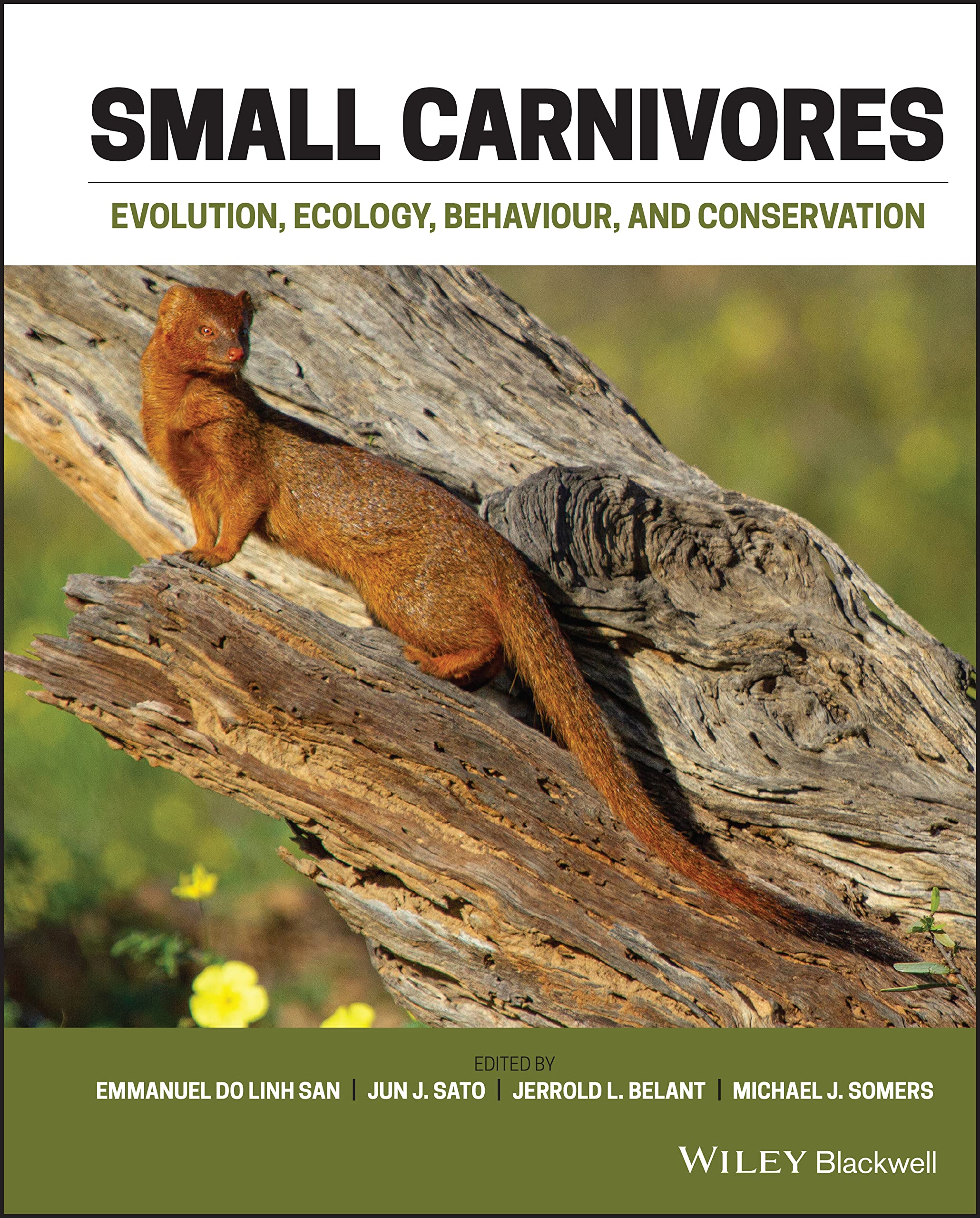 Snapklik.com : Small Carnivores: Evolution