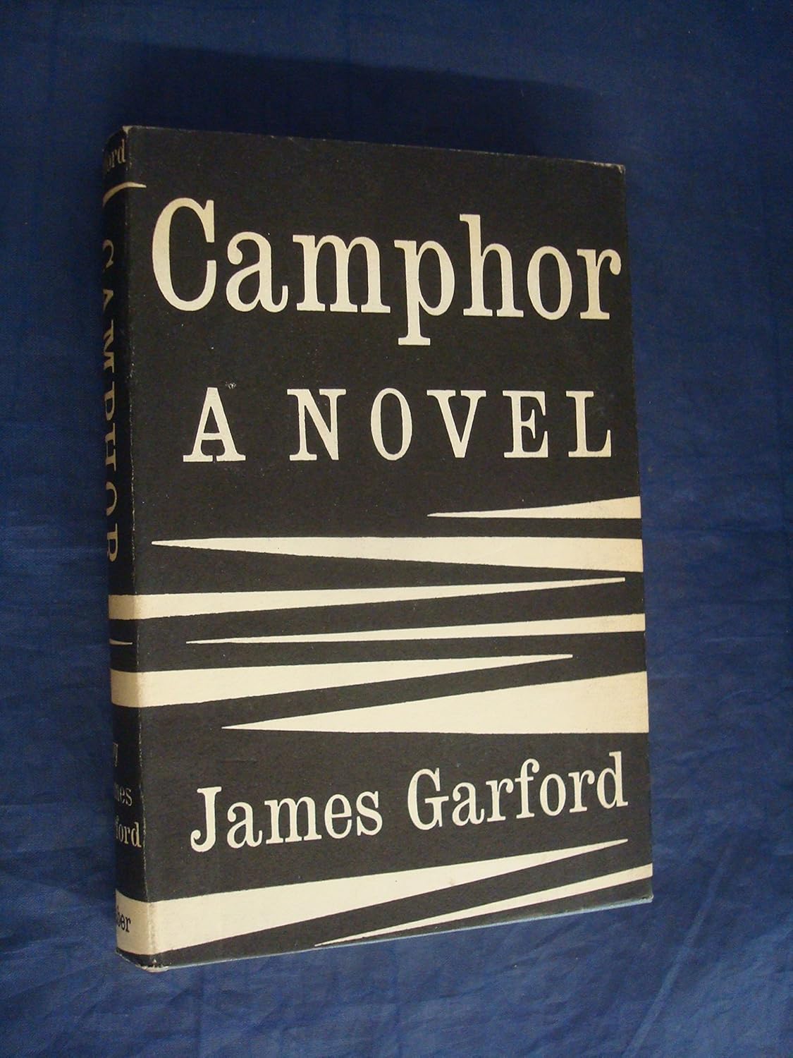 Camphor: Amazon.co.uk: Garford, James: Books