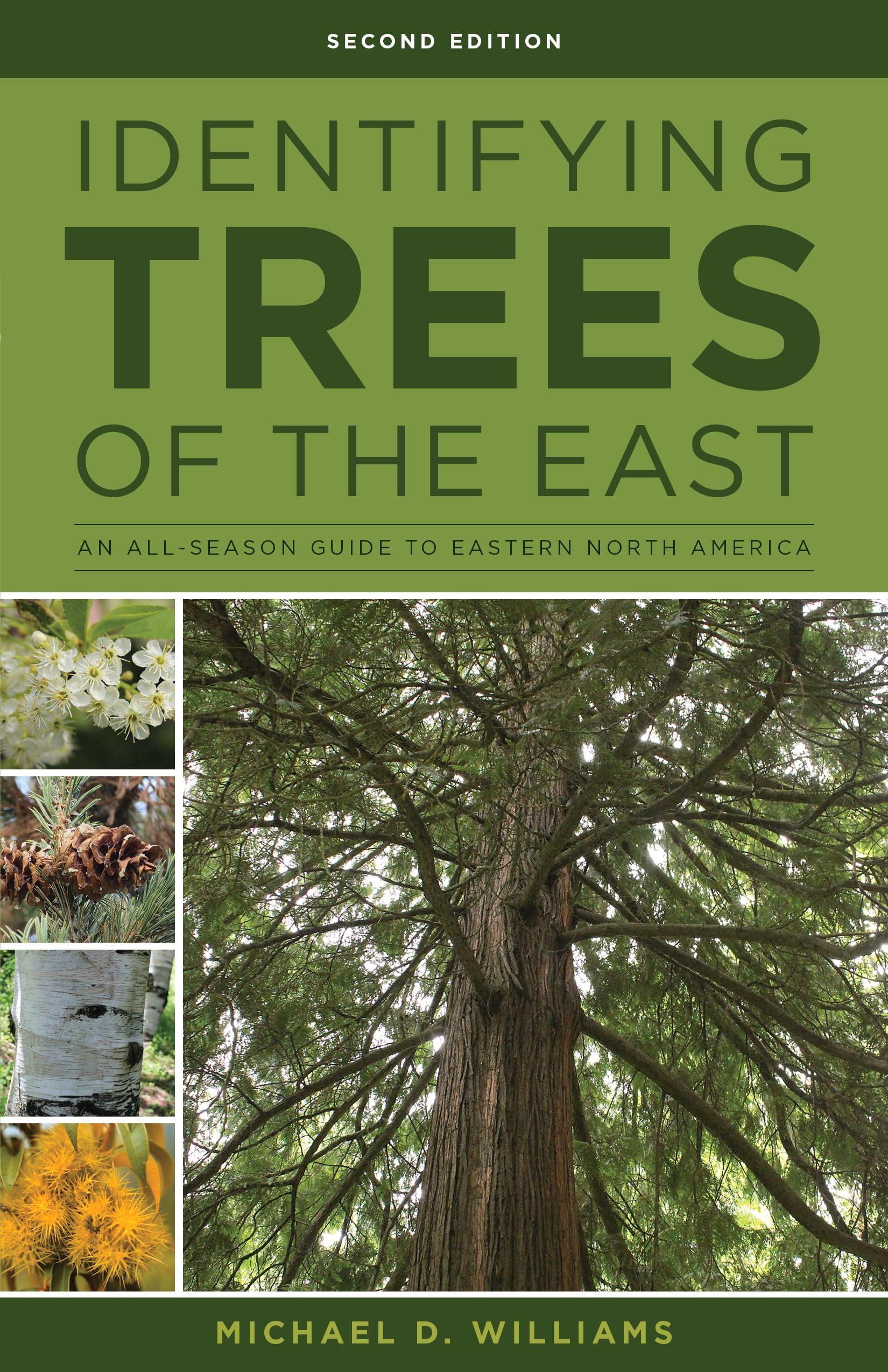 Identifying Trees of the East: An All-Season Guide to Eastern North ...