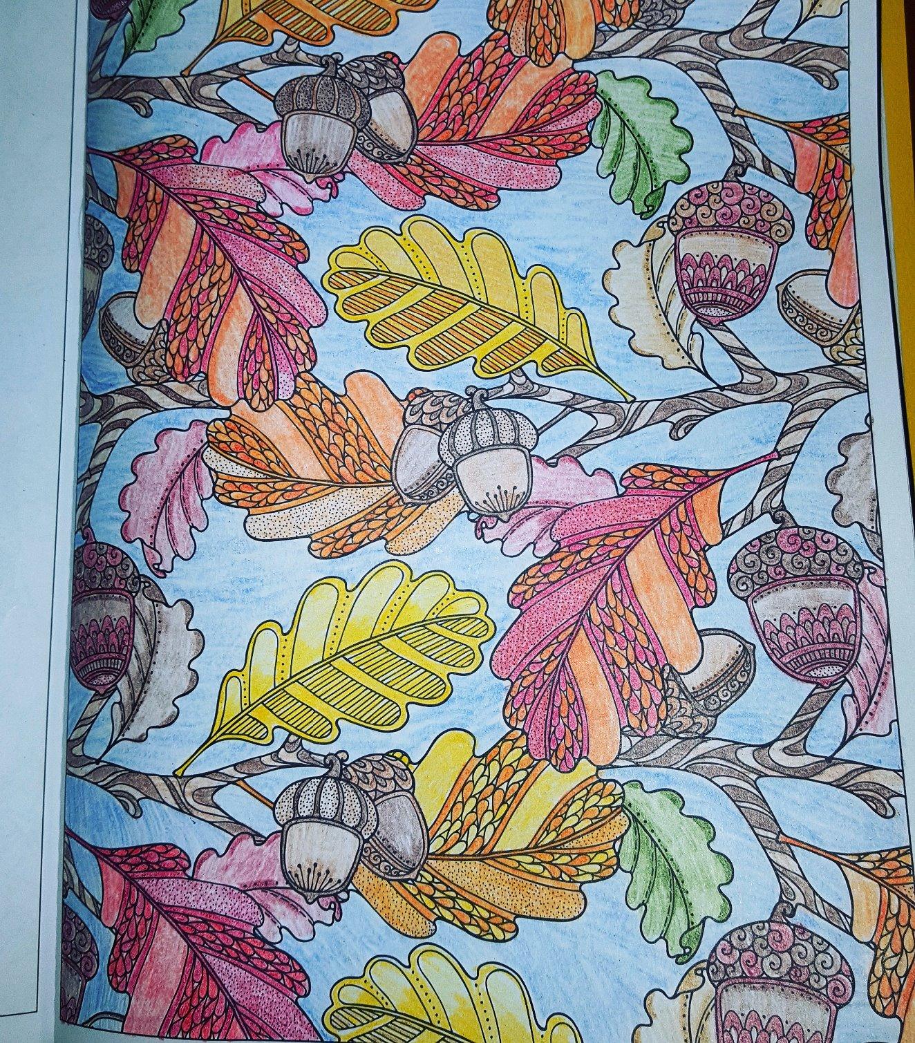 Amazon.com: Color Creatives Harvest Home: Coloring to Warm Your Heart ...