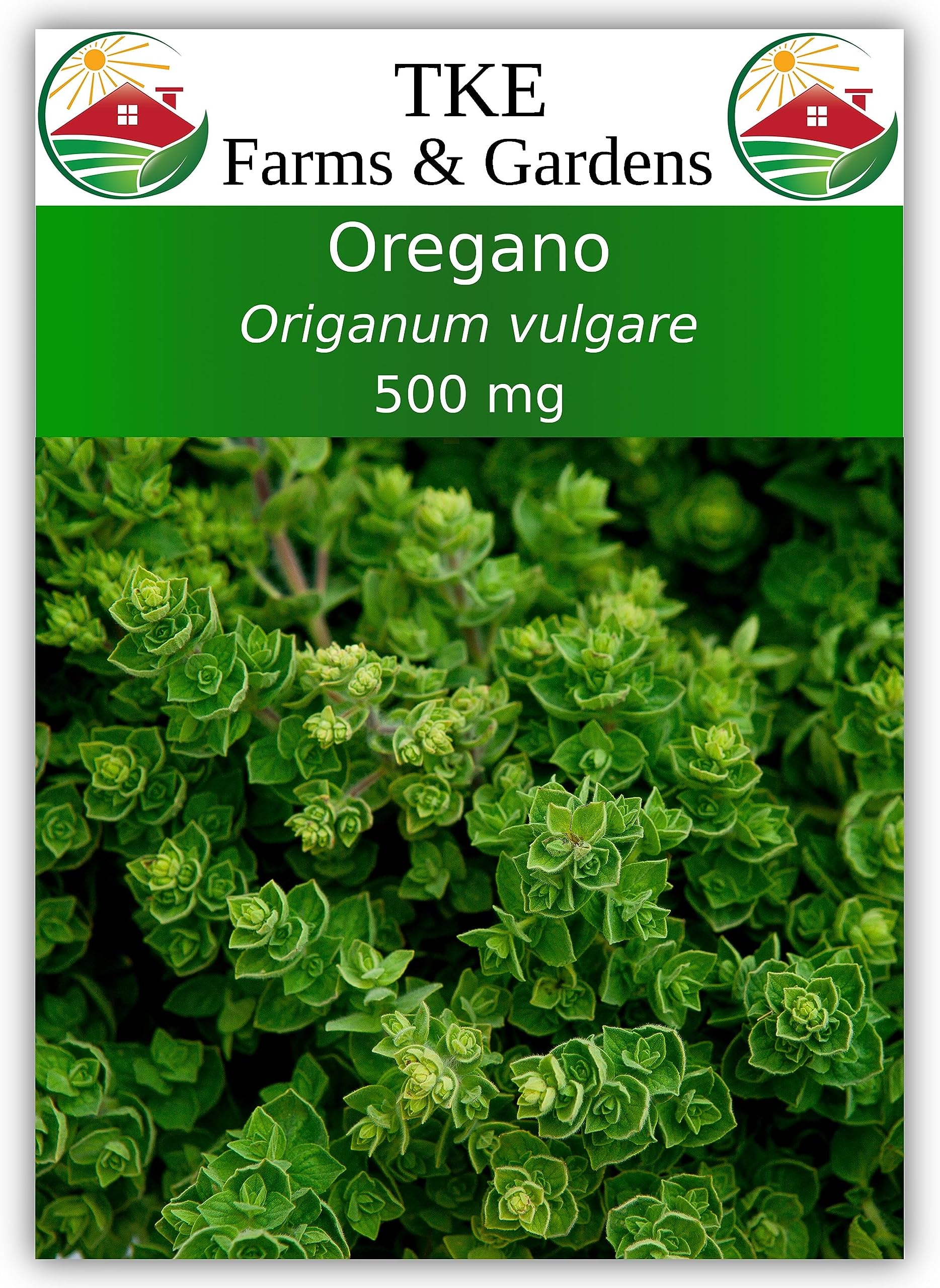 Amazon.com : Oregano Seeds - 500 Seeds Non-gmo : Patio, Lawn & Garden