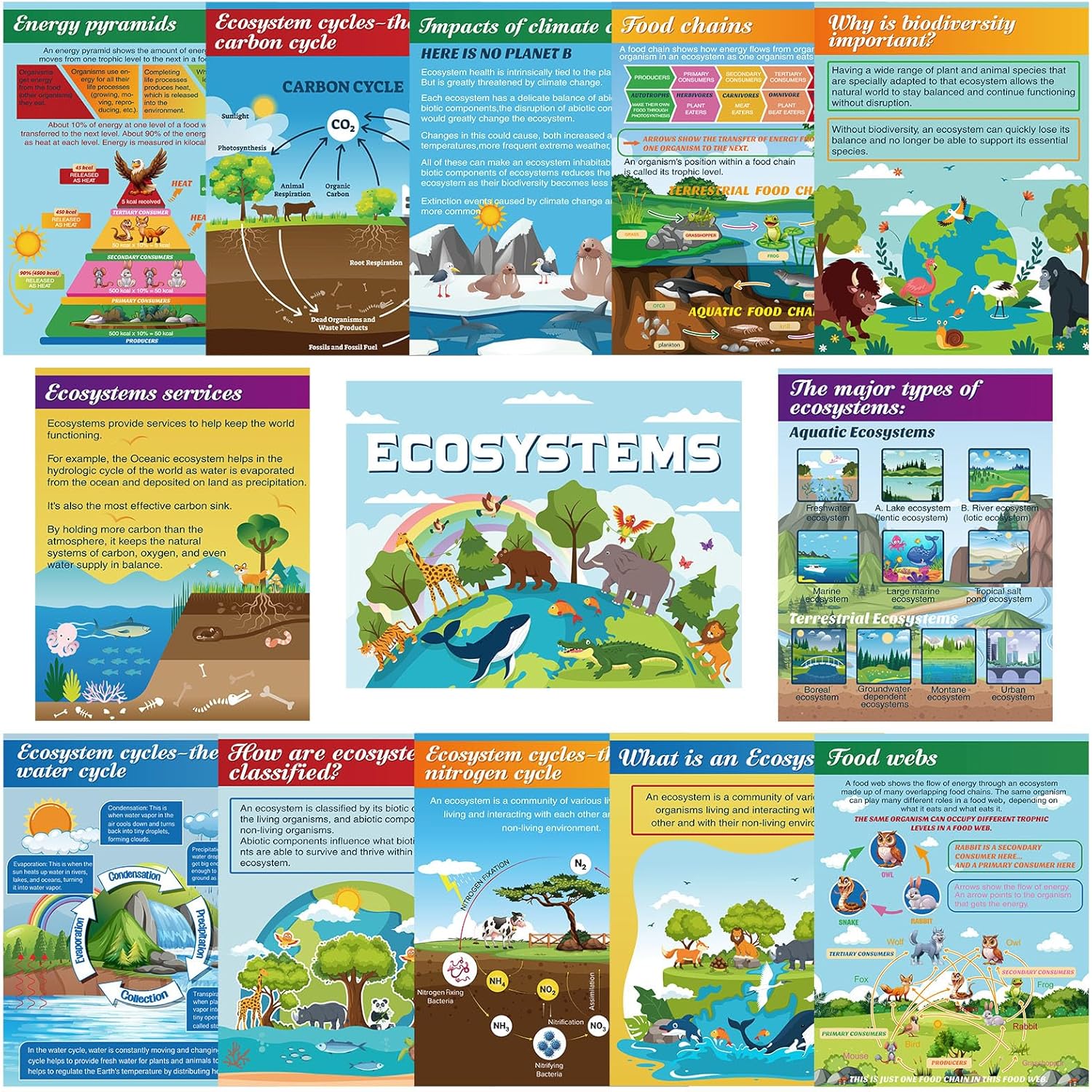 Amazon.com: Pajean 13 Pcs Science Posters Classroom Decorations for ...