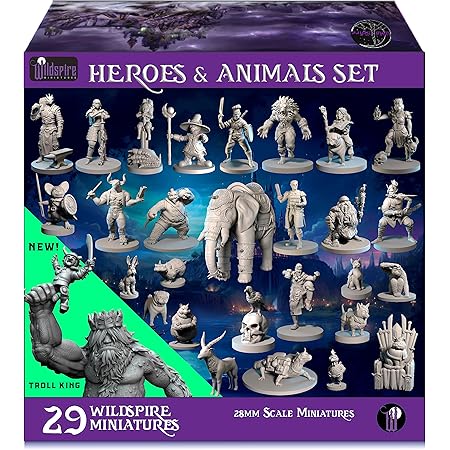 15 Hero Character & NPC Miniatures for DND Miniatures D&D Miniatures ...