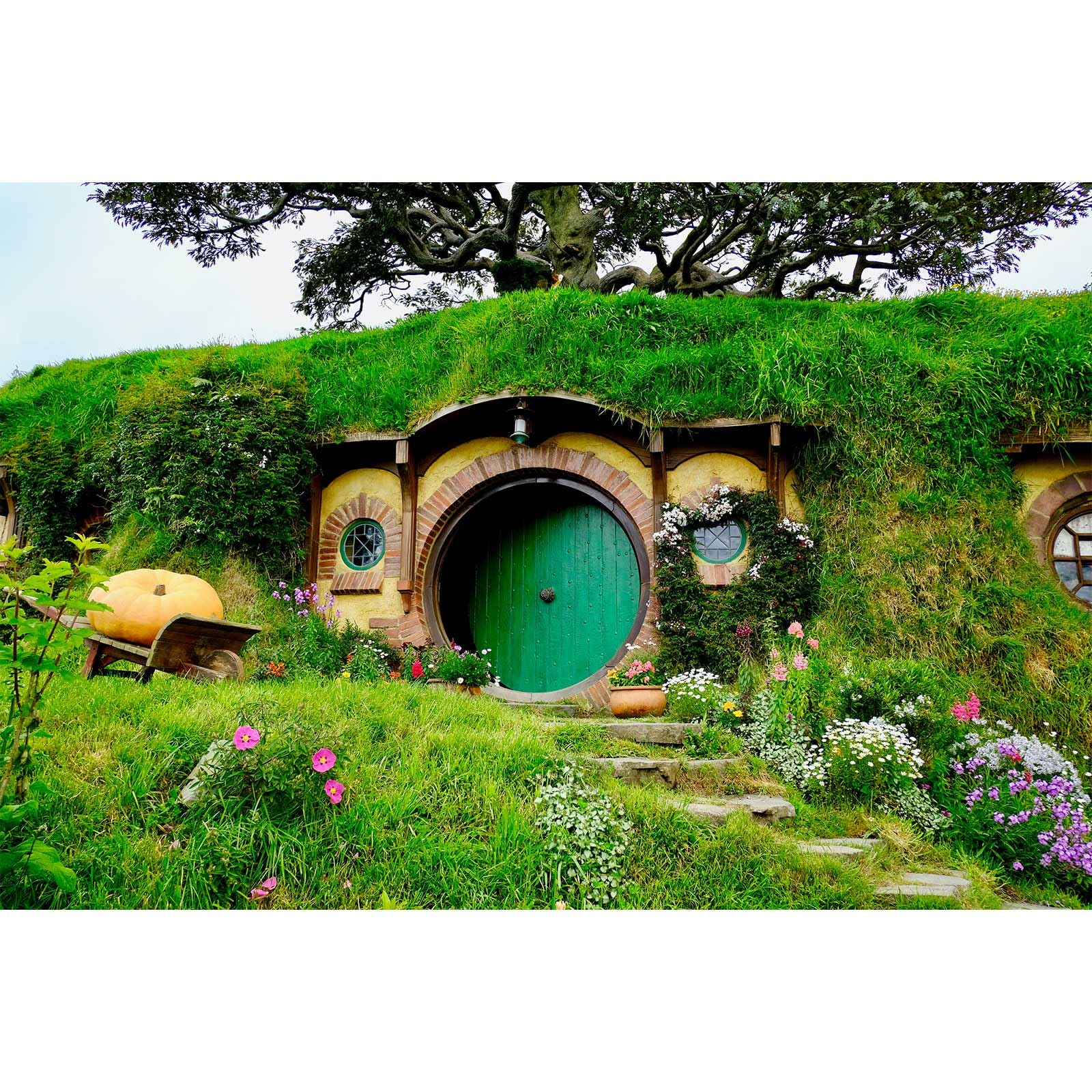 Snapklik.com : Hobbit Cave Aquarium Backdrop Matamata Rural Hobbit ...