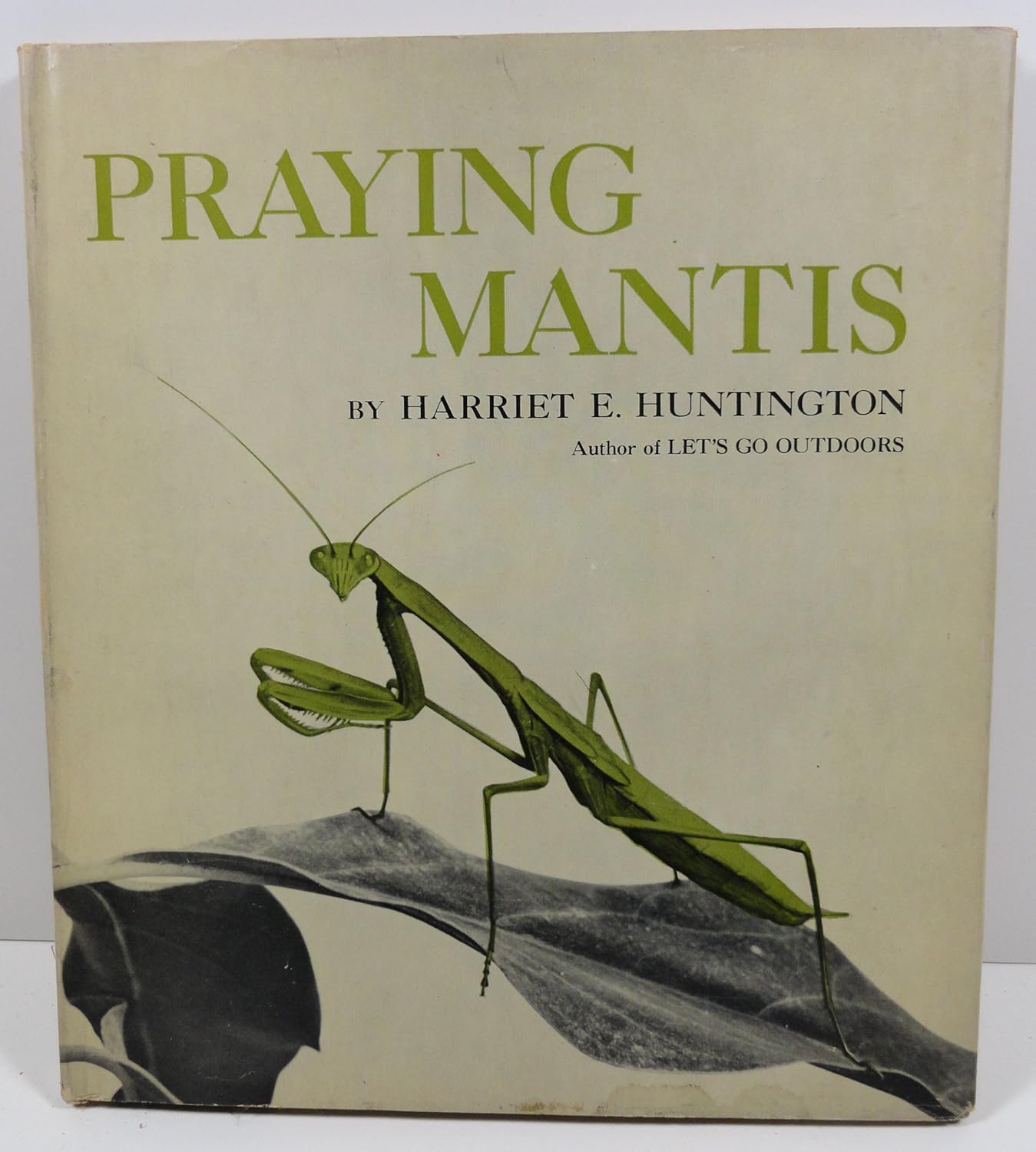 Praying mantis: Huntington, Harriet E: Amazon.com: Books