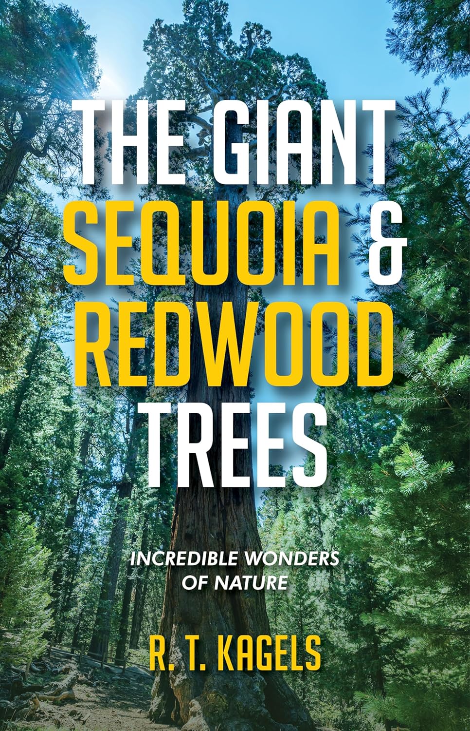 Amazon.com: THE GIANT SEQUOIA & REDWOOD TREES: INCREDIBLE WONDERS OF ...