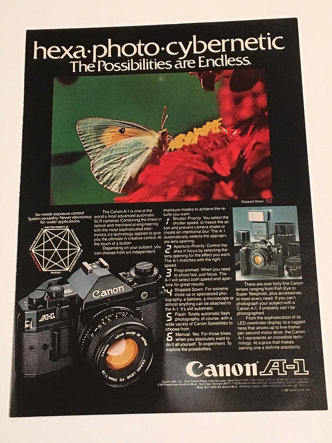 Amazon.com: 1981 Canon A-1 SLR Camera Magazine Print Advertisement ...