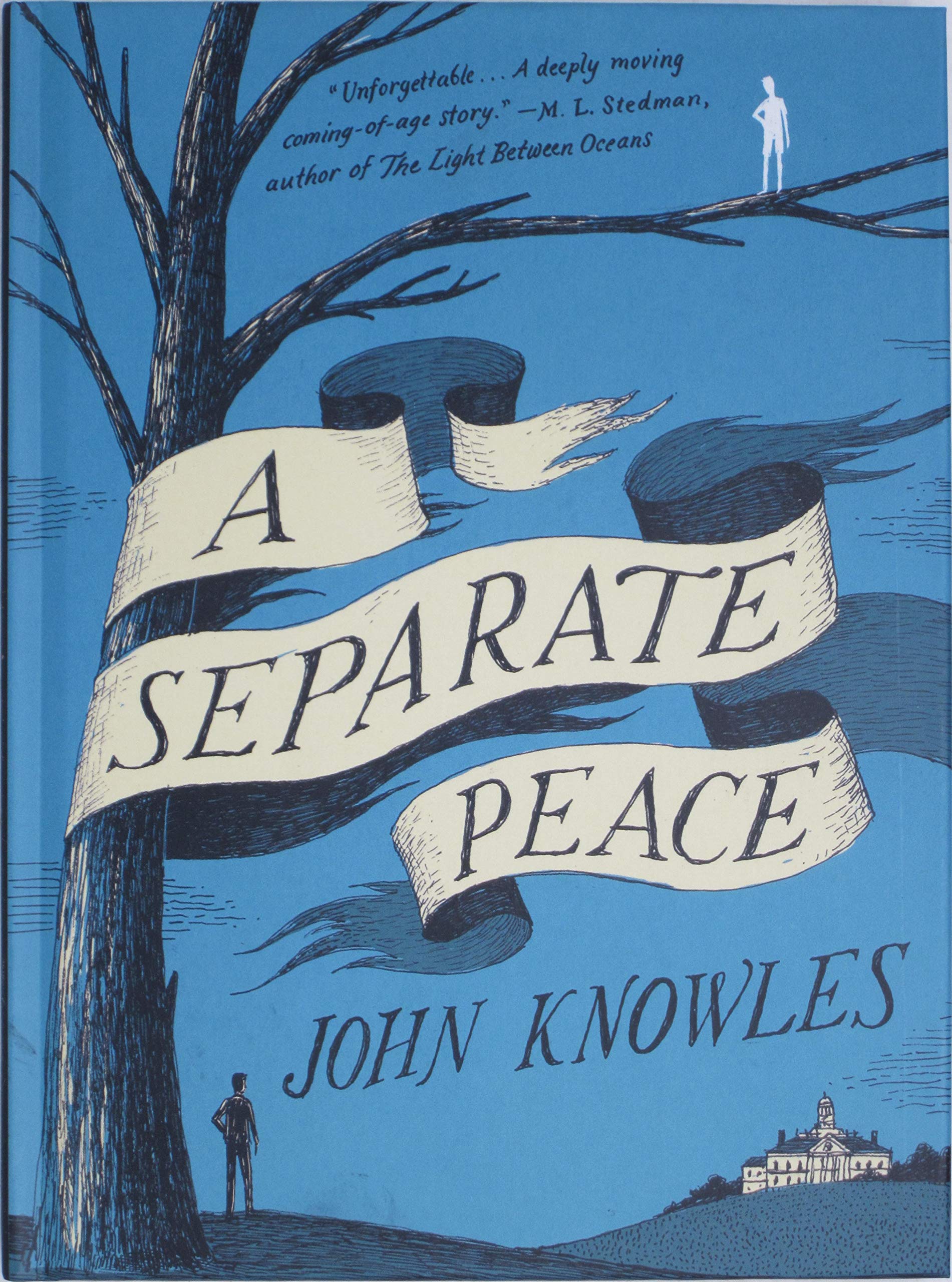 A Separate Peace: John Knowles: 9781501160608: Amazon.com: Books