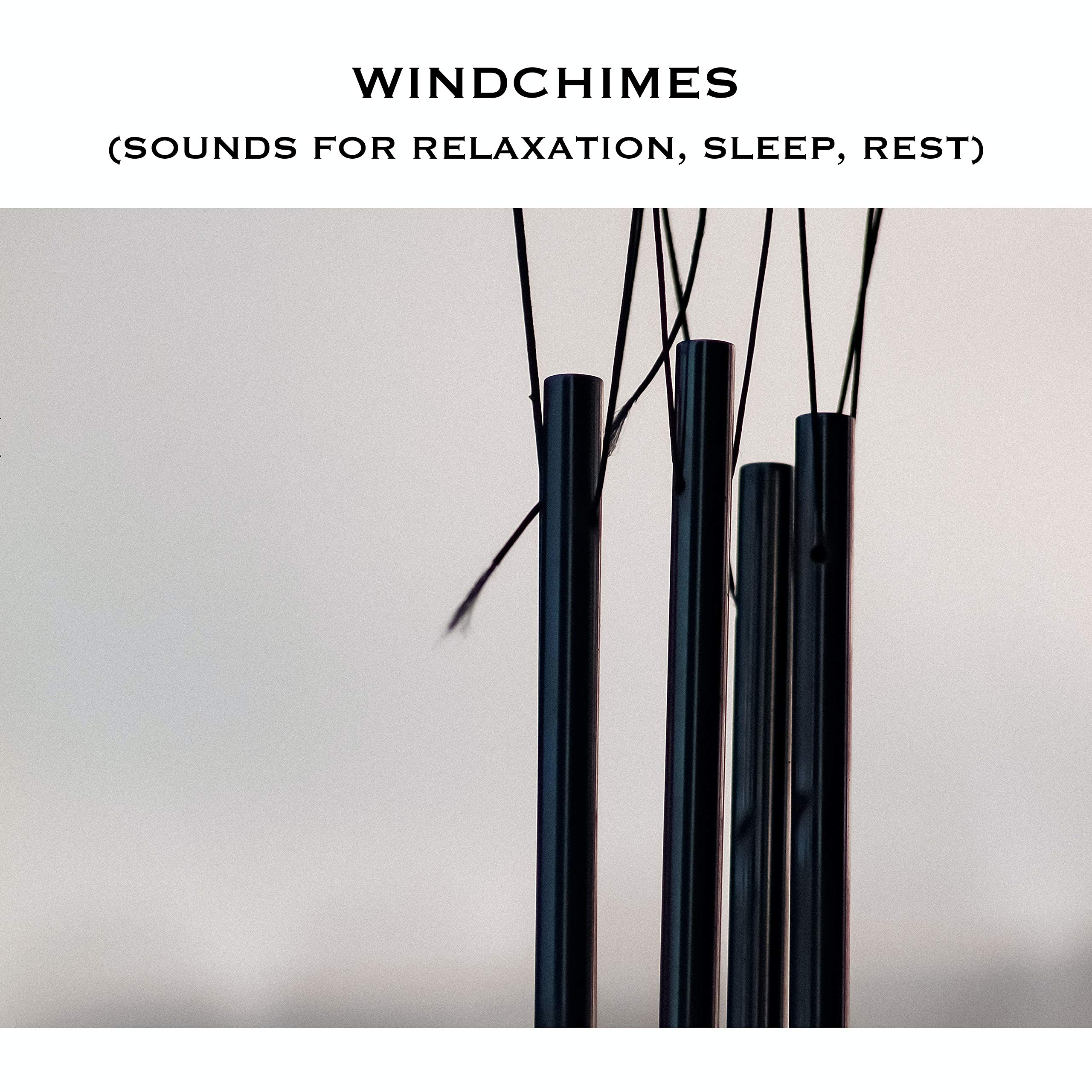 Outdoor Layers song by Nature Sounds Nature Music from Wind Chimes ...