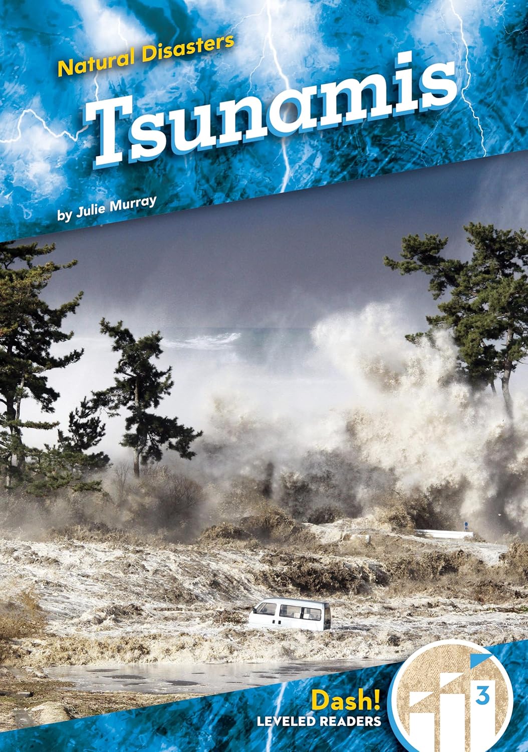 Tsunamis (Natural Disasters): Murray, Julie: 9781098285524: Amazon.com: Books