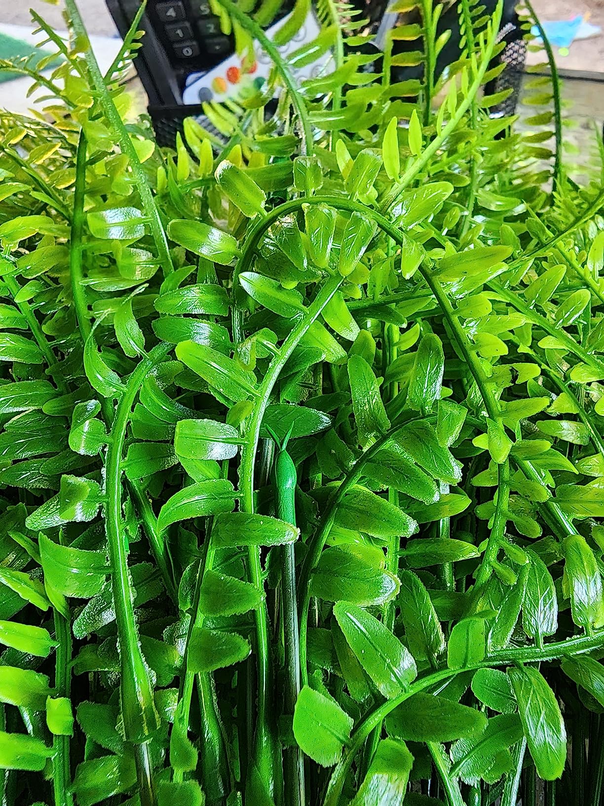 $2/mo - Finance 12 Bundles Artificial Boston Ferns for Outdoors Lush ...