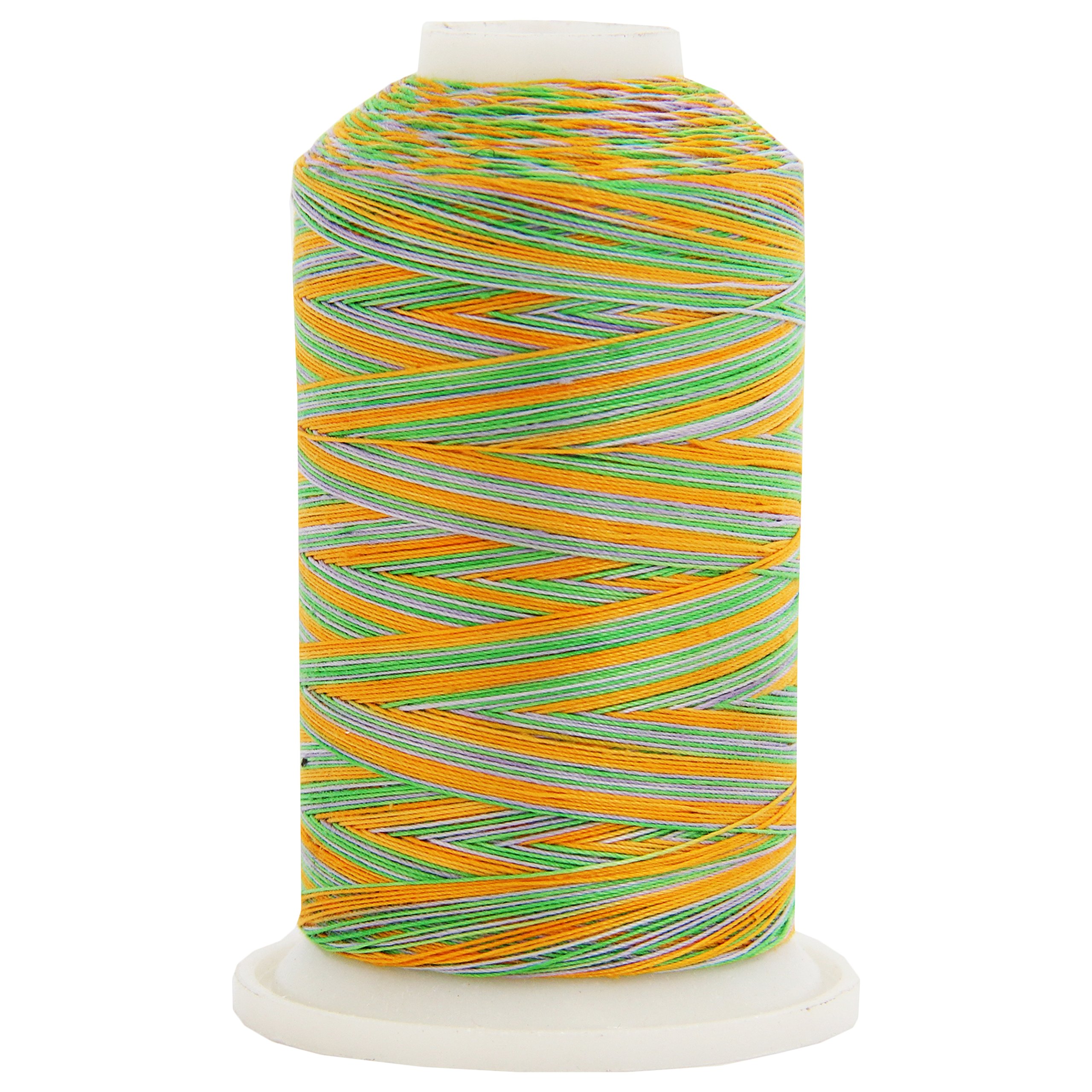 Amazon.com: Threadart Multicolor 100% Cotton Thread | Variegated Colors ...
