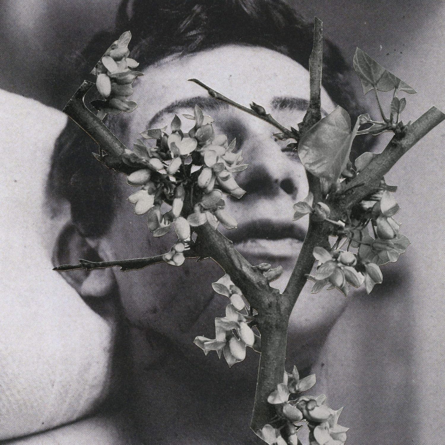 Manes - Slow Motion.. - Manes: Amazon.de: Musik