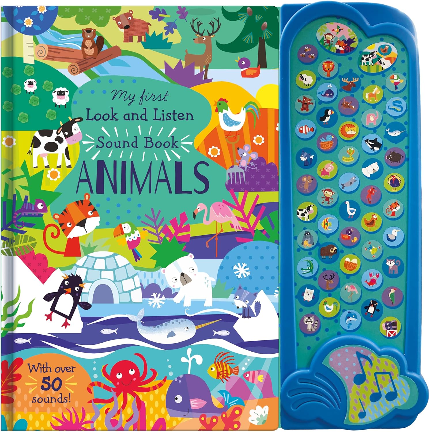 My First Look and Find Sound Book: Animals : Schofield, Jayne: Amazon ...