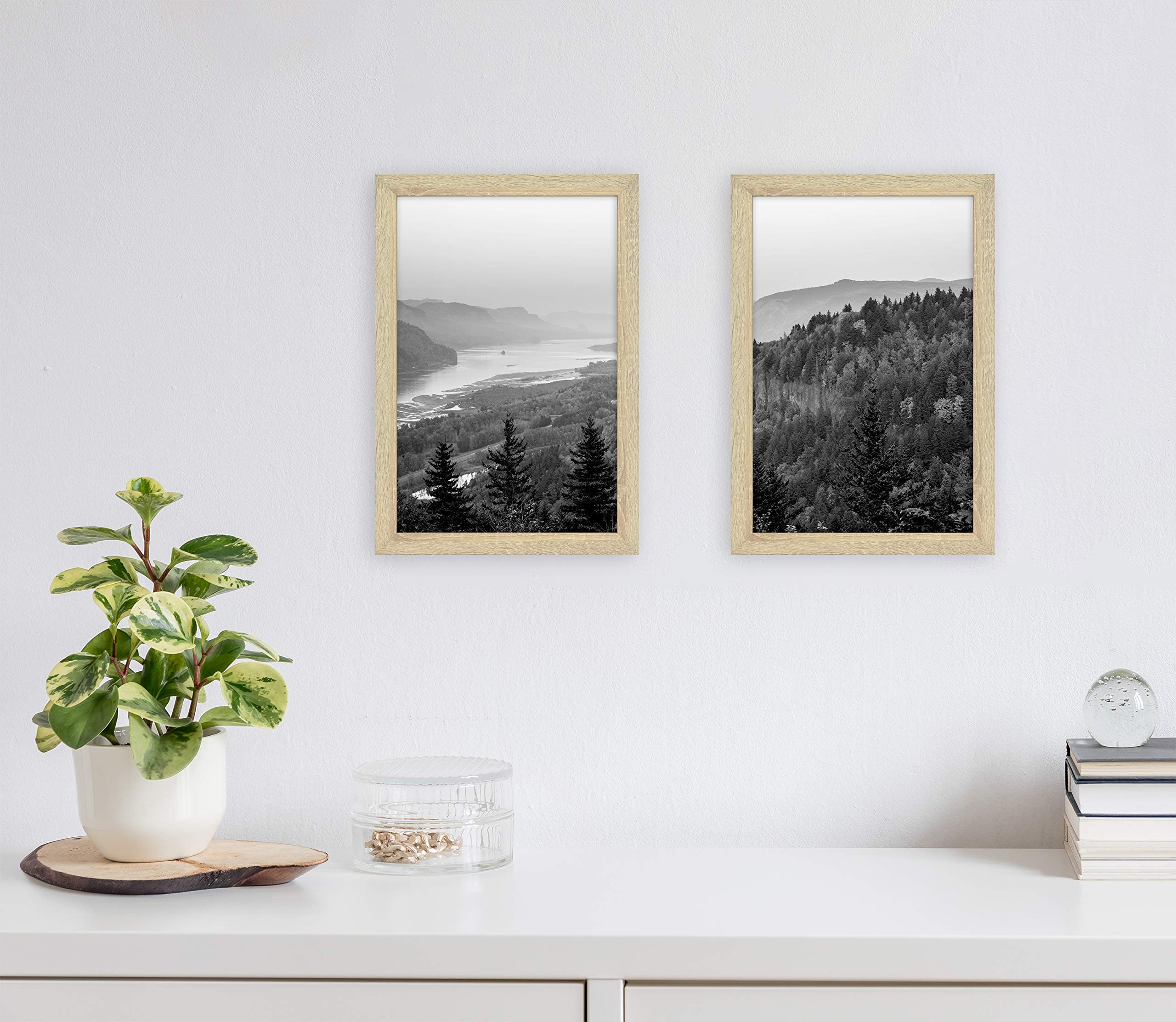Snapklik.com : MCS Studio Gallery 12x18 Picture Frame Natural Woodgrain ...