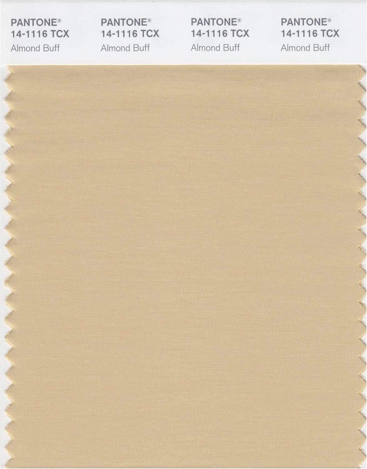 PANTONE Smart 14-1116X Color Swatch Card, Almond Buff - Wall Decor ...