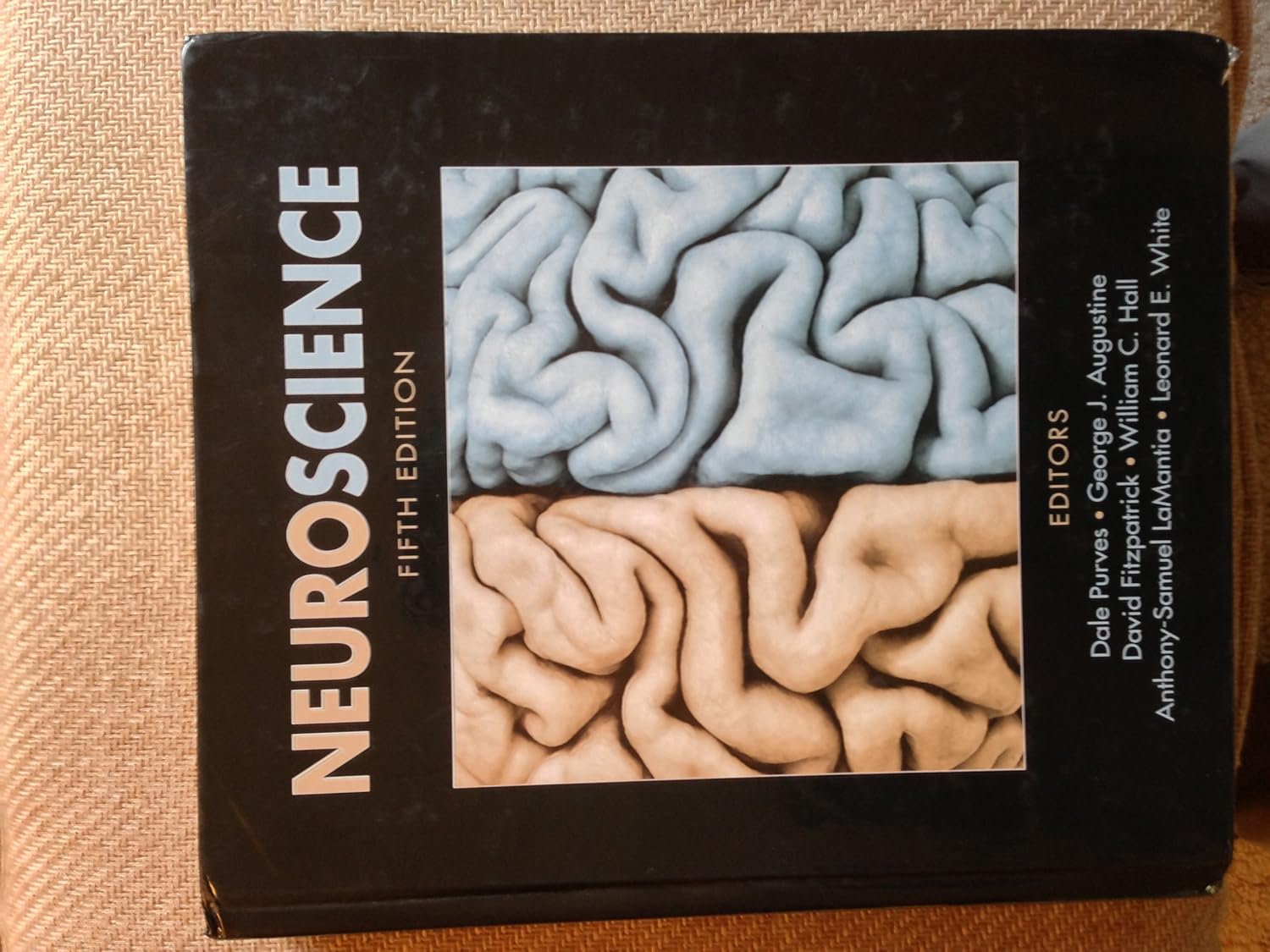 Neuroscience: 9780878936953: Medicine & Health Science Books @ Amazon.com