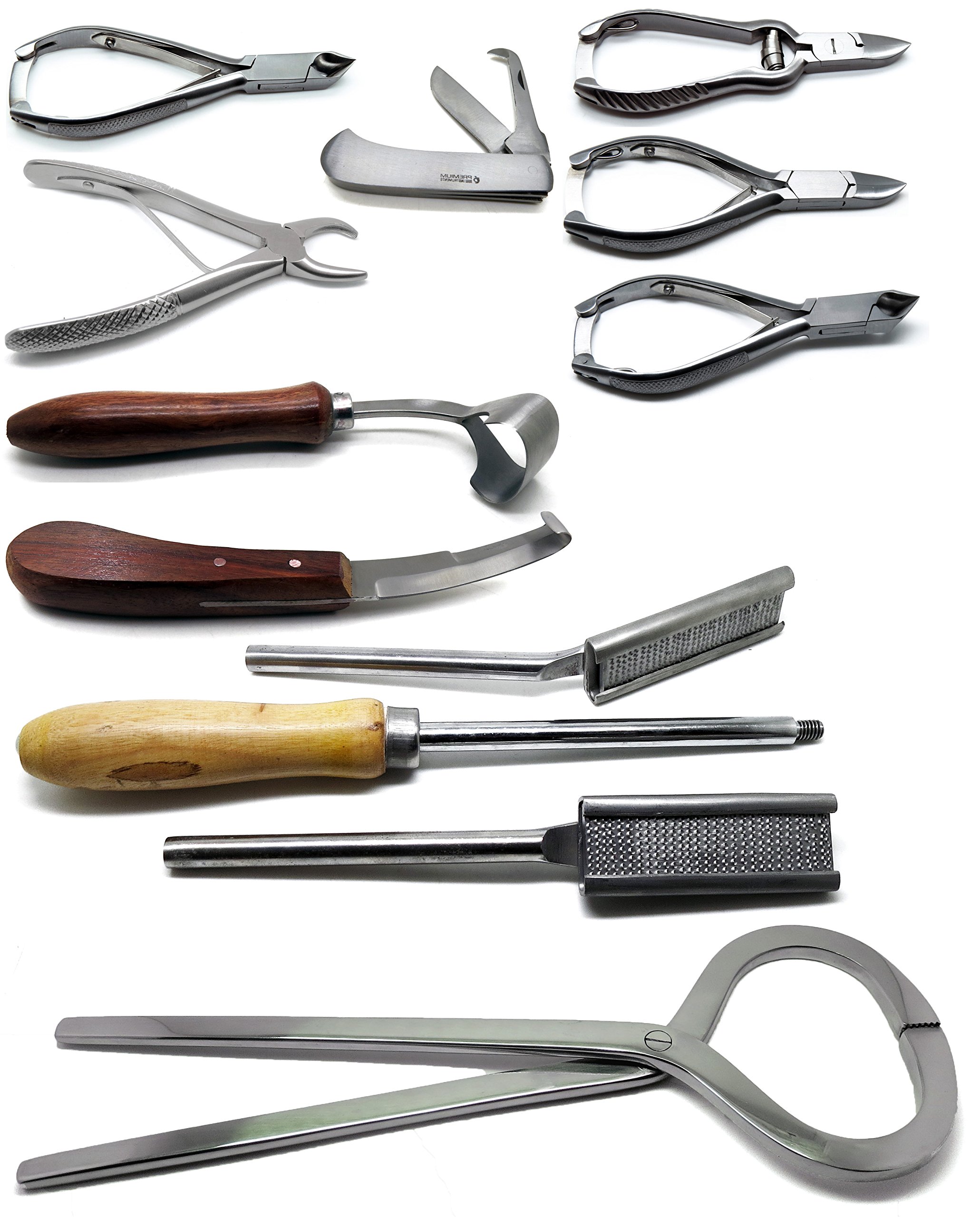 Veterinarian Tools List