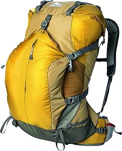 Amazon.com : Gregory Mountain Products Z 35 LTS Suspension Backpack ...