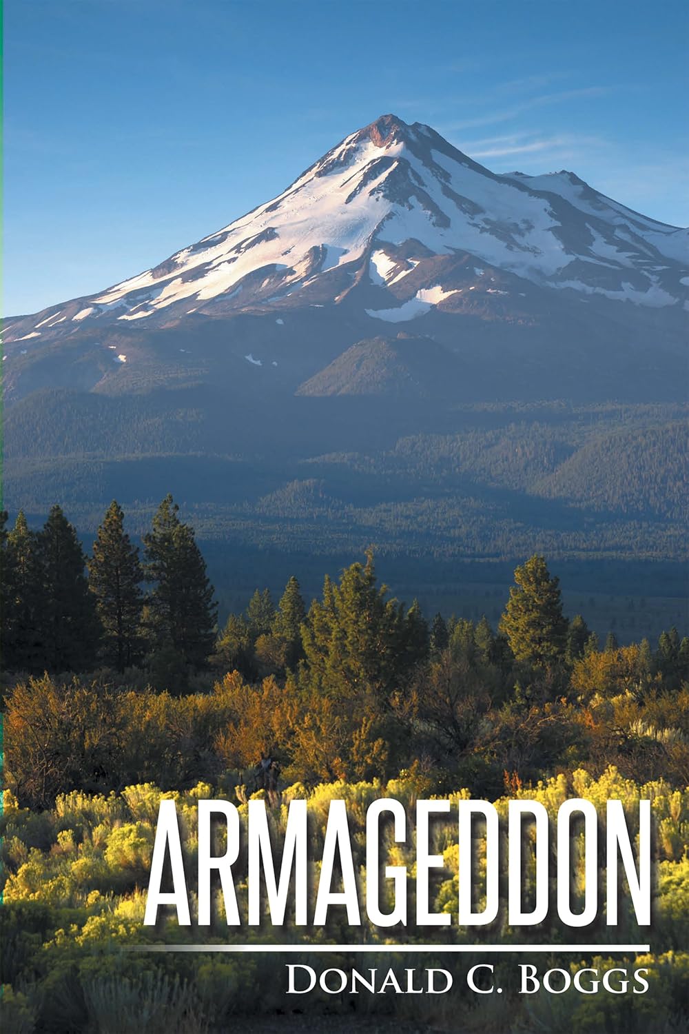 Armageddon (English Edition) eBook : Boggs, Donald C.: Amazon.fr ...