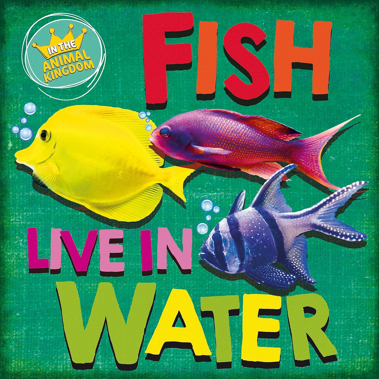 Fish Live in Water (In the Animal Kingdom): Amazon.co.uk: Ridley, Sarah ...