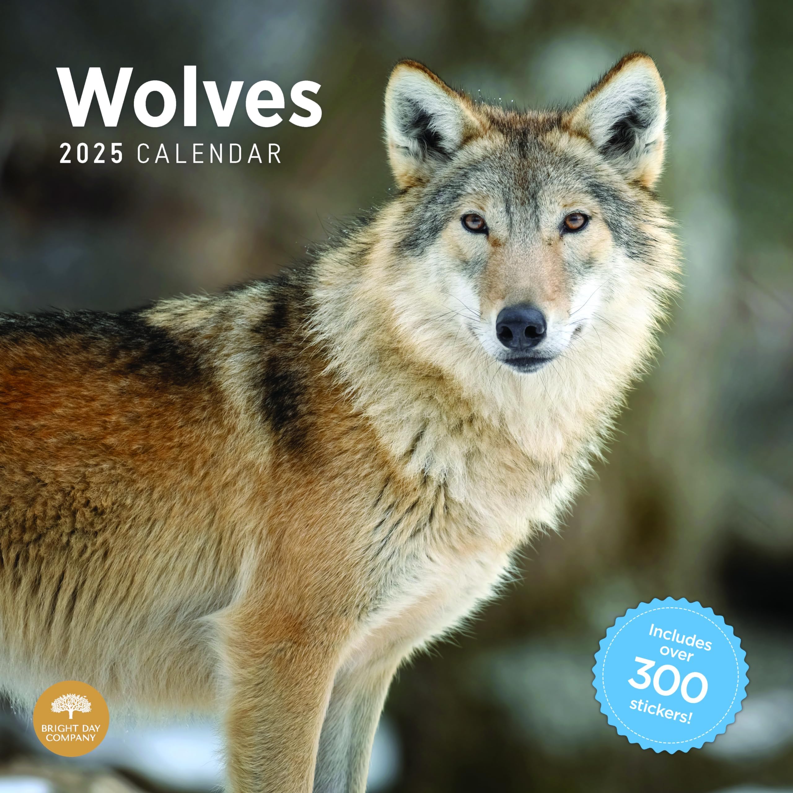 Amazon.com: Bright Day Calendars 2025 Wolves Monthly Wall Calendar ...