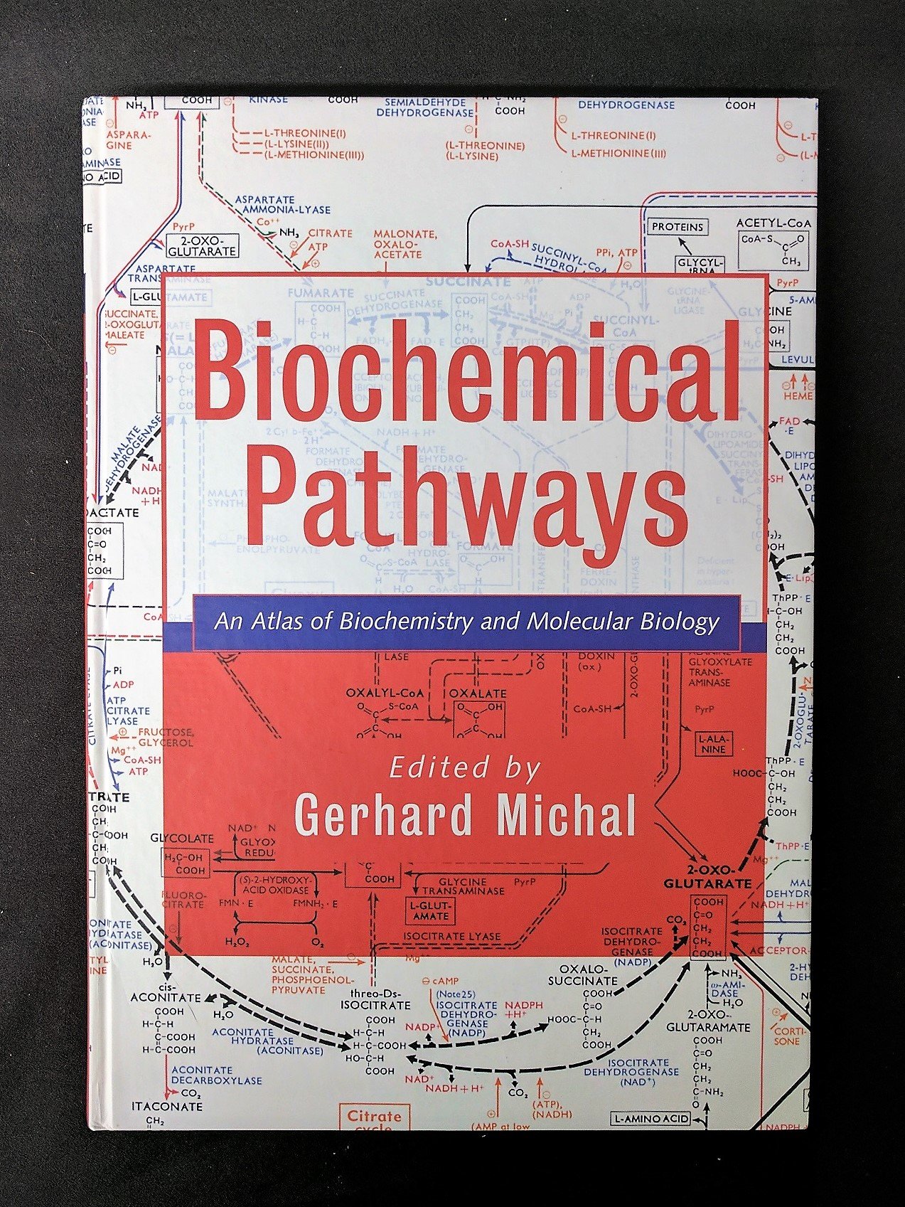 Amazon.com: Biochemical Pathways: An Atlas of Biochemistry and ...
