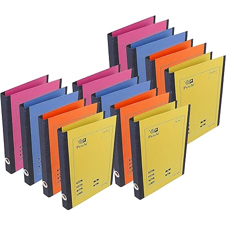 SNDIA 6 Pack Spring Files File A4 Size Paper Cobra File Document Holder ...