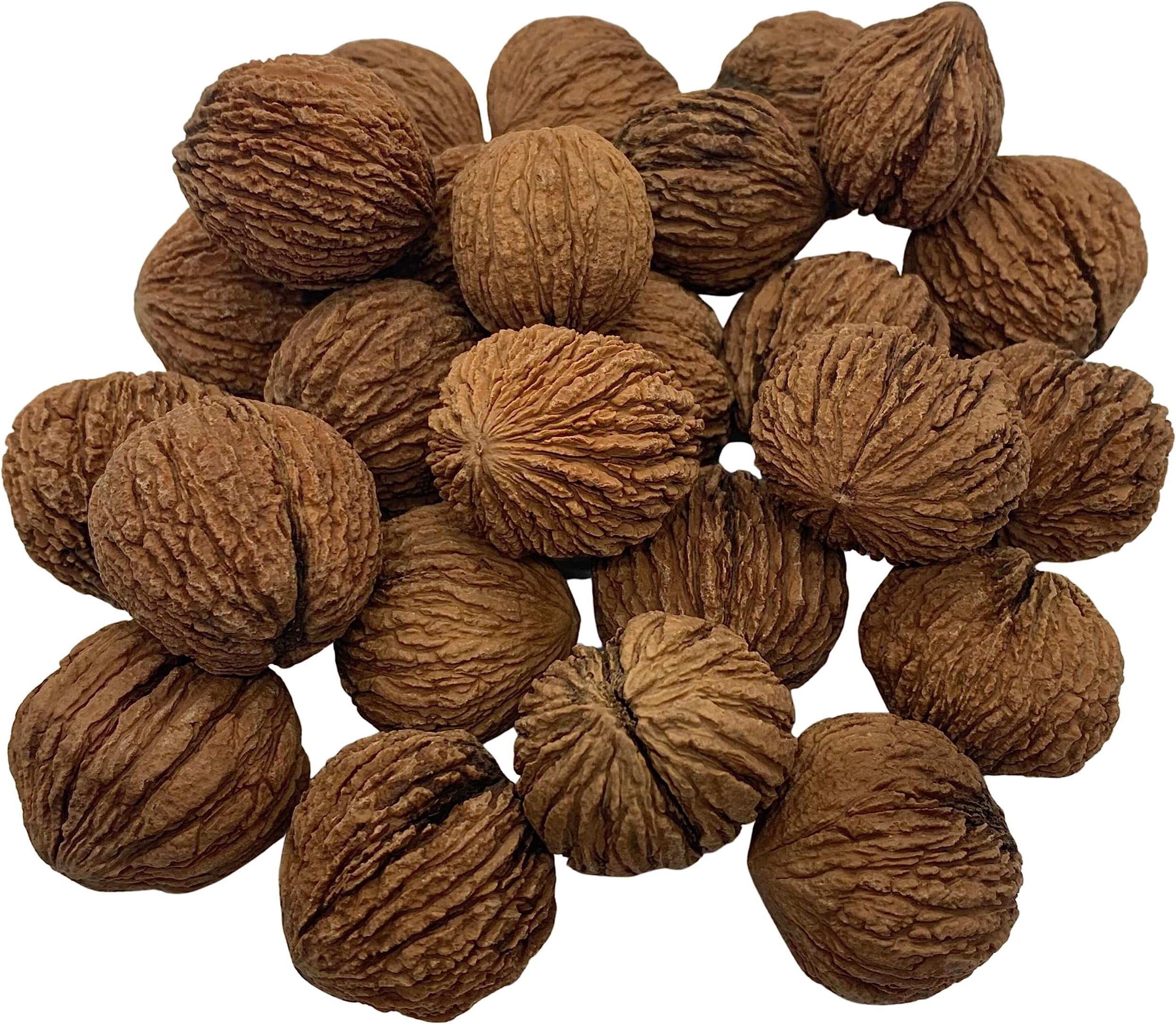 Amazon.com : Black Walnut Hull 8 Ounce Pound-Bulk Bag-1/2 Pound Outer ...
