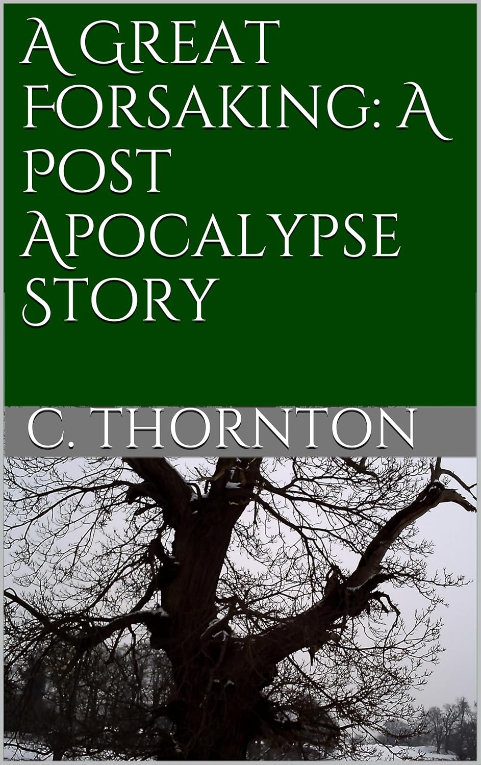Amazon.com: A Great Forsaking: A Post Apocalypse Story eBook : Thornton ...