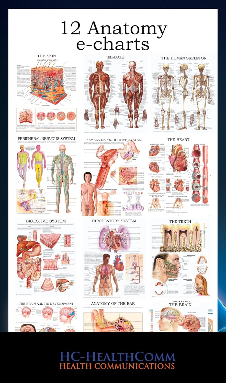 Amazon.com: 12 Anatomy e-charts: Full ilustrated eBook : HC-HealthComm ...