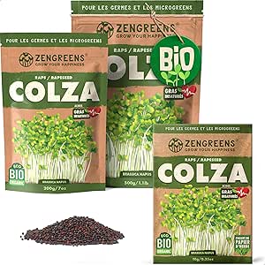 ZenGreens® - Graines de colza bio - Choisissez entre 10g, 200g et 500g - Graines de colza avec ...