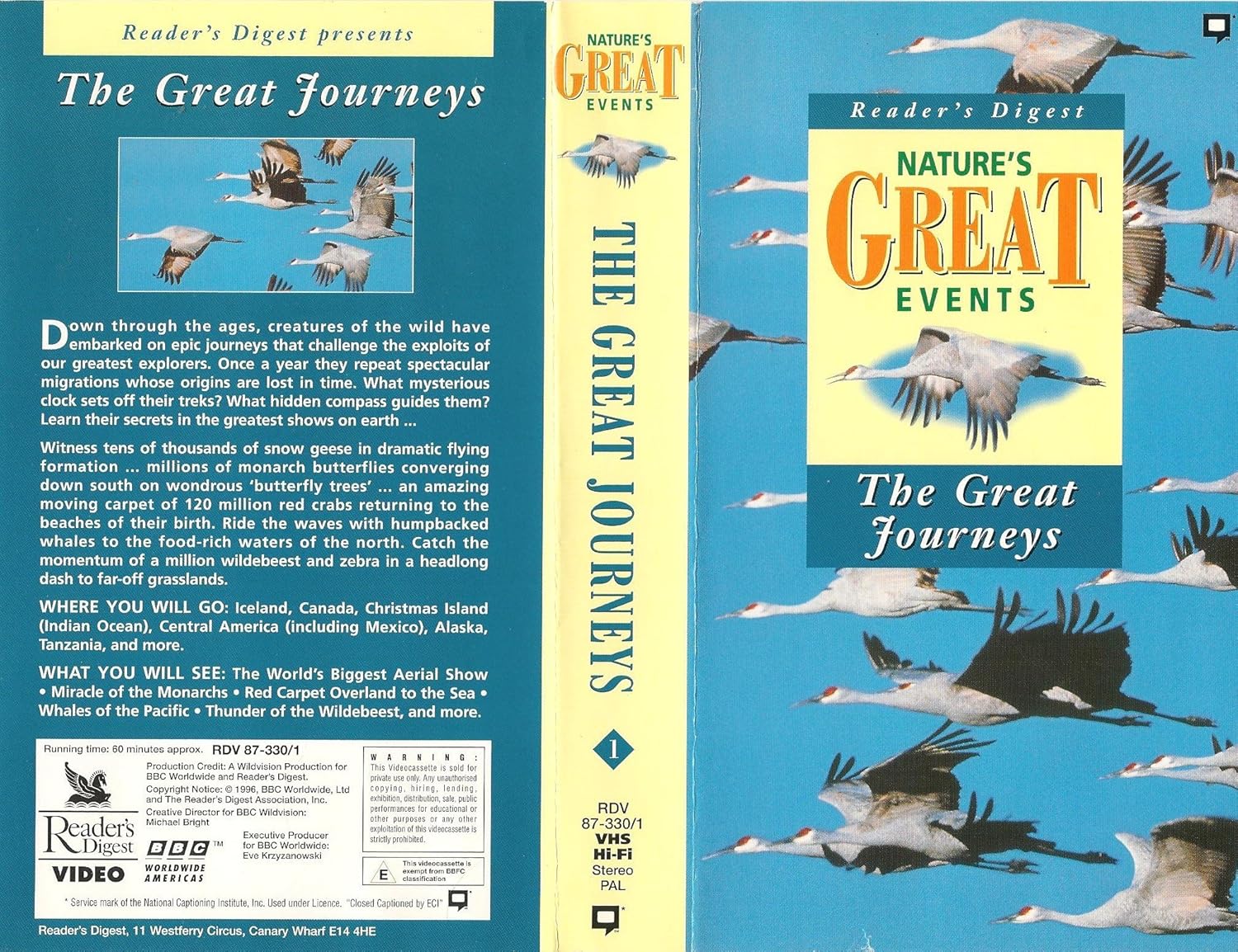 Amazon.com: Natures Great Events - The Great Journeys : Movies & TV