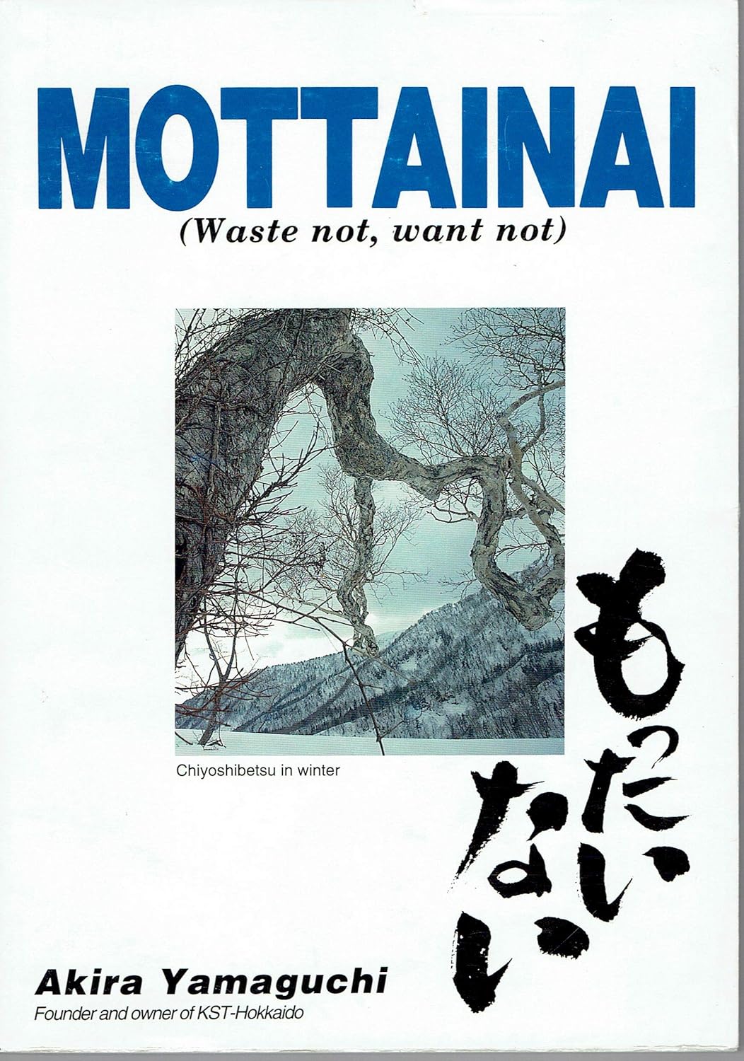 Mottainai (Waste Not, Want Not): Akira Yamaguchi: Amazon.com: Books