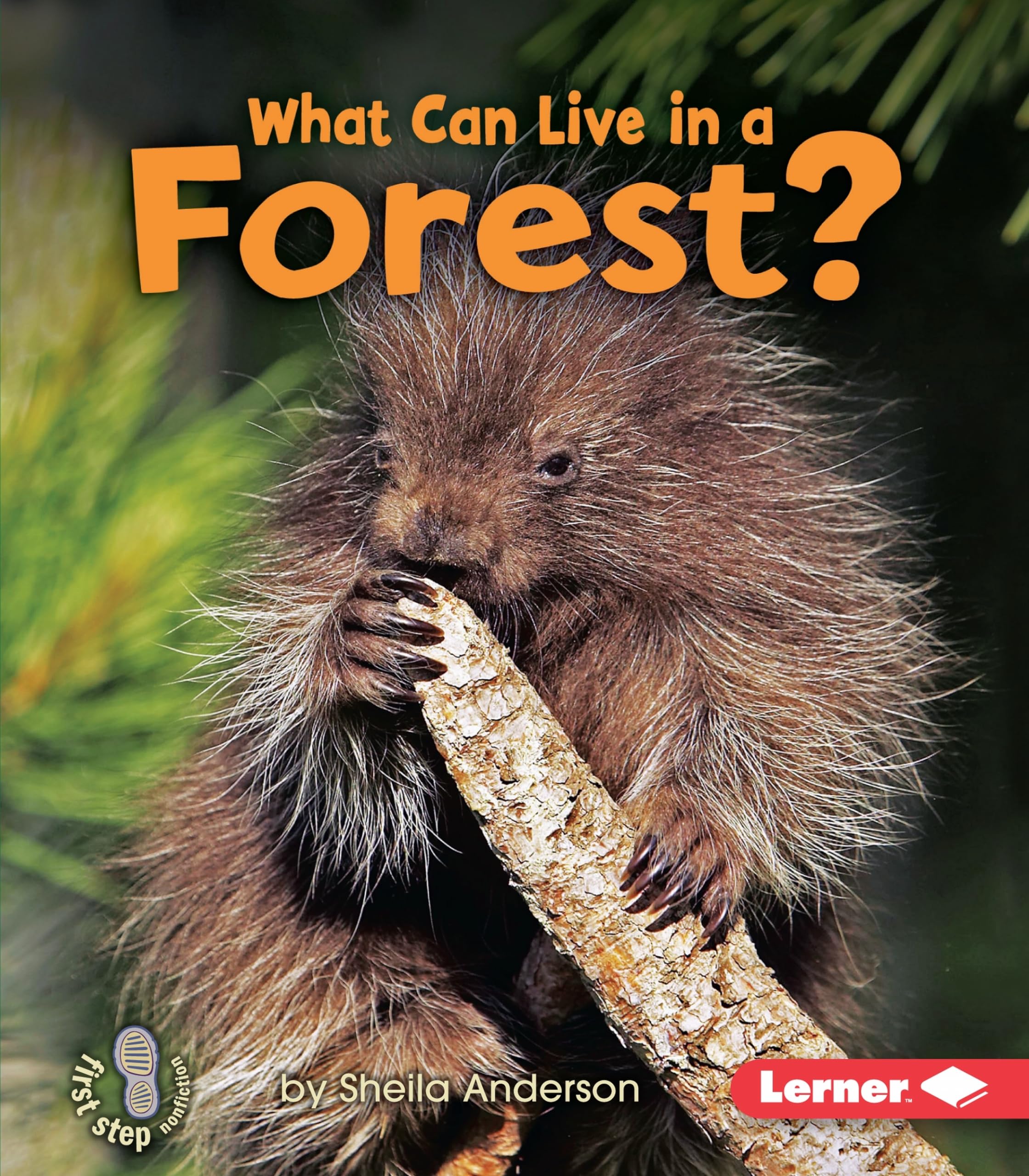 What Can Live in a Forest? (First Step Nonfiction ― Animal Adaptations ...