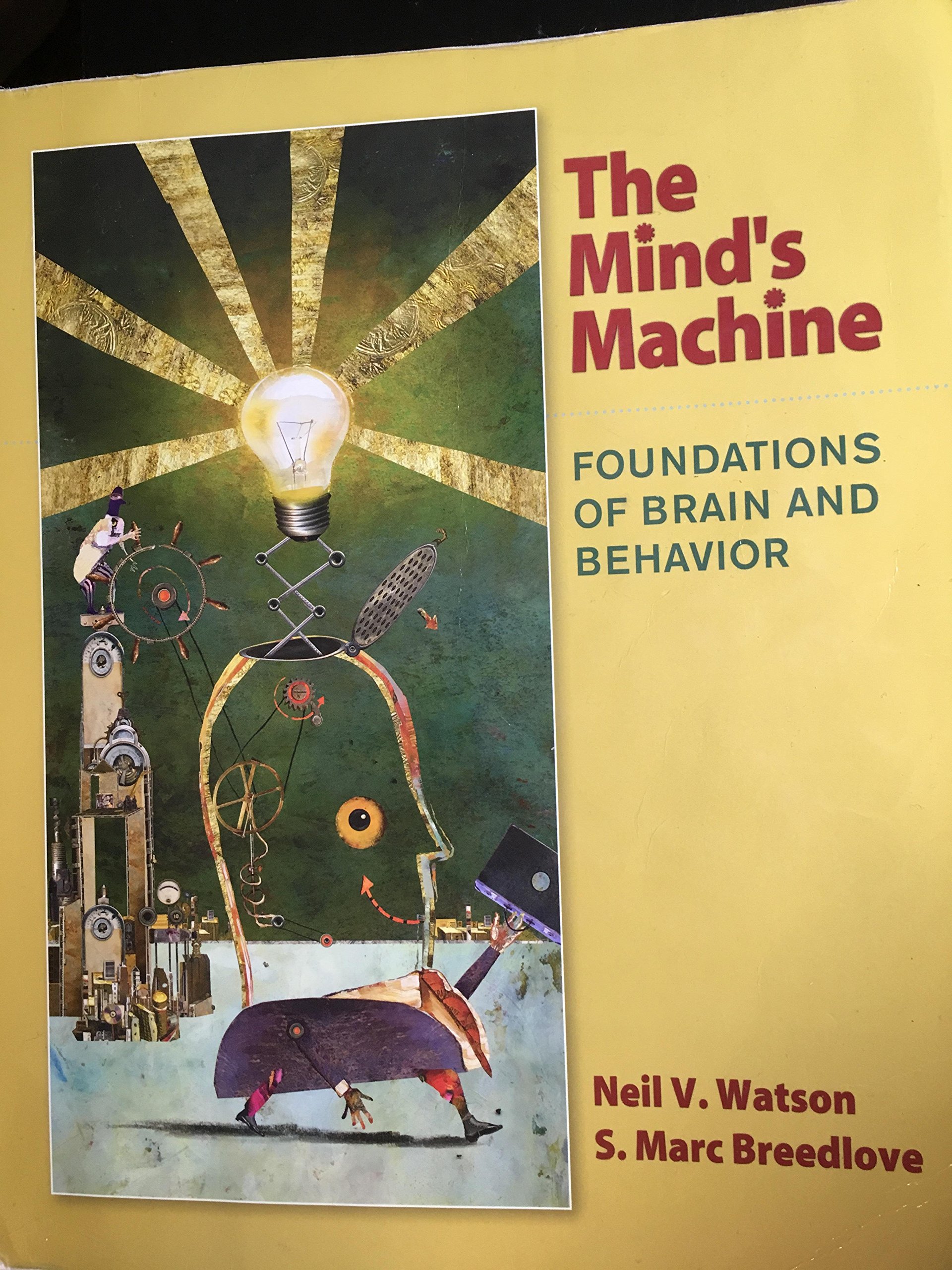 The Mind's Machine: Foundations of Brain and Behavior: 9780878939336 ...