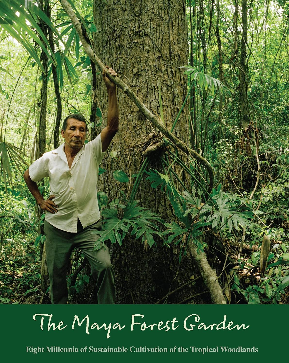 The Maya Forest Garden: Eight Millennia of Sustainable Cultivation of ...