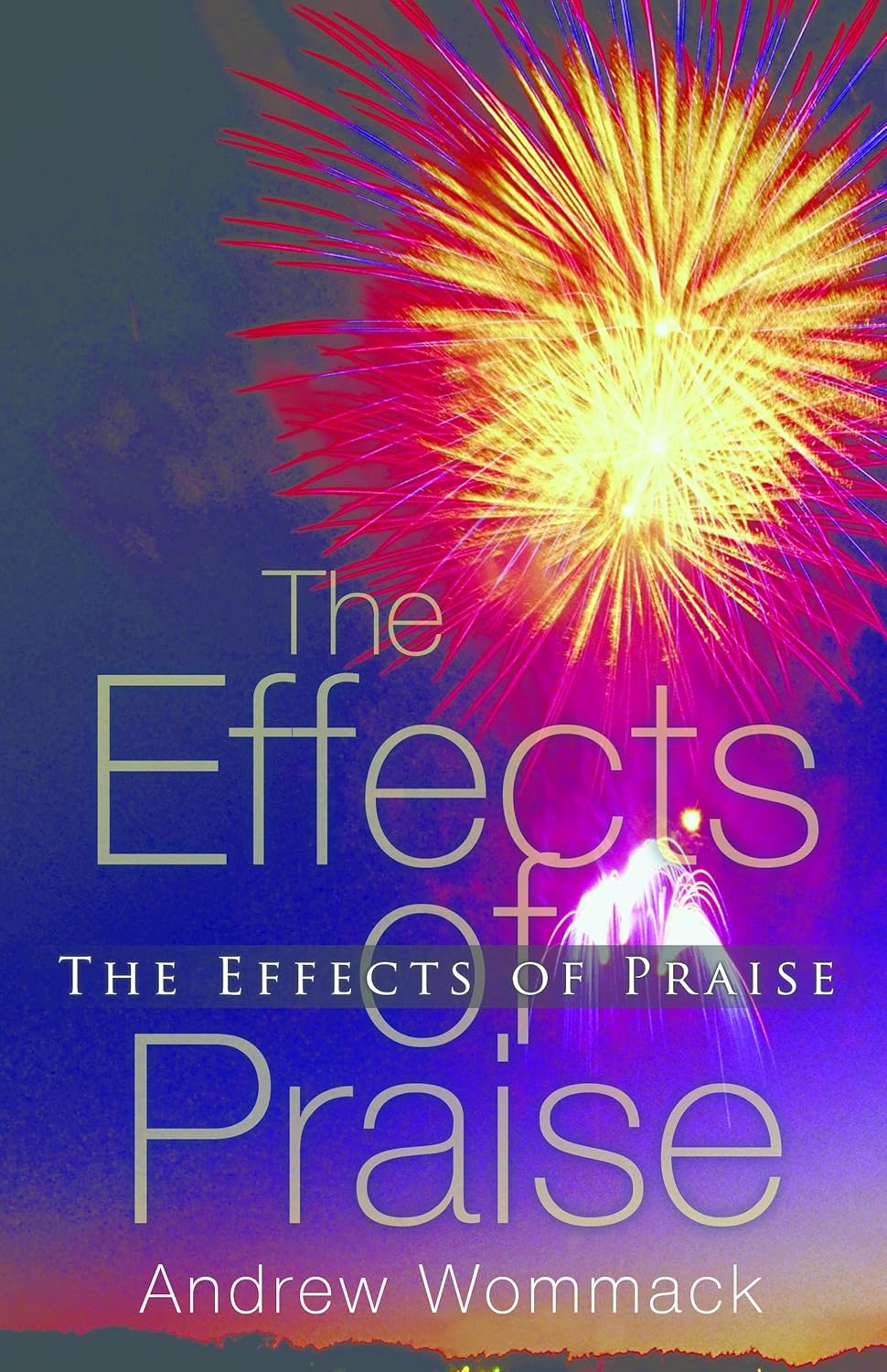 The Effects of Praise - Kindle edition by Wommack, Andrew. Religion ...