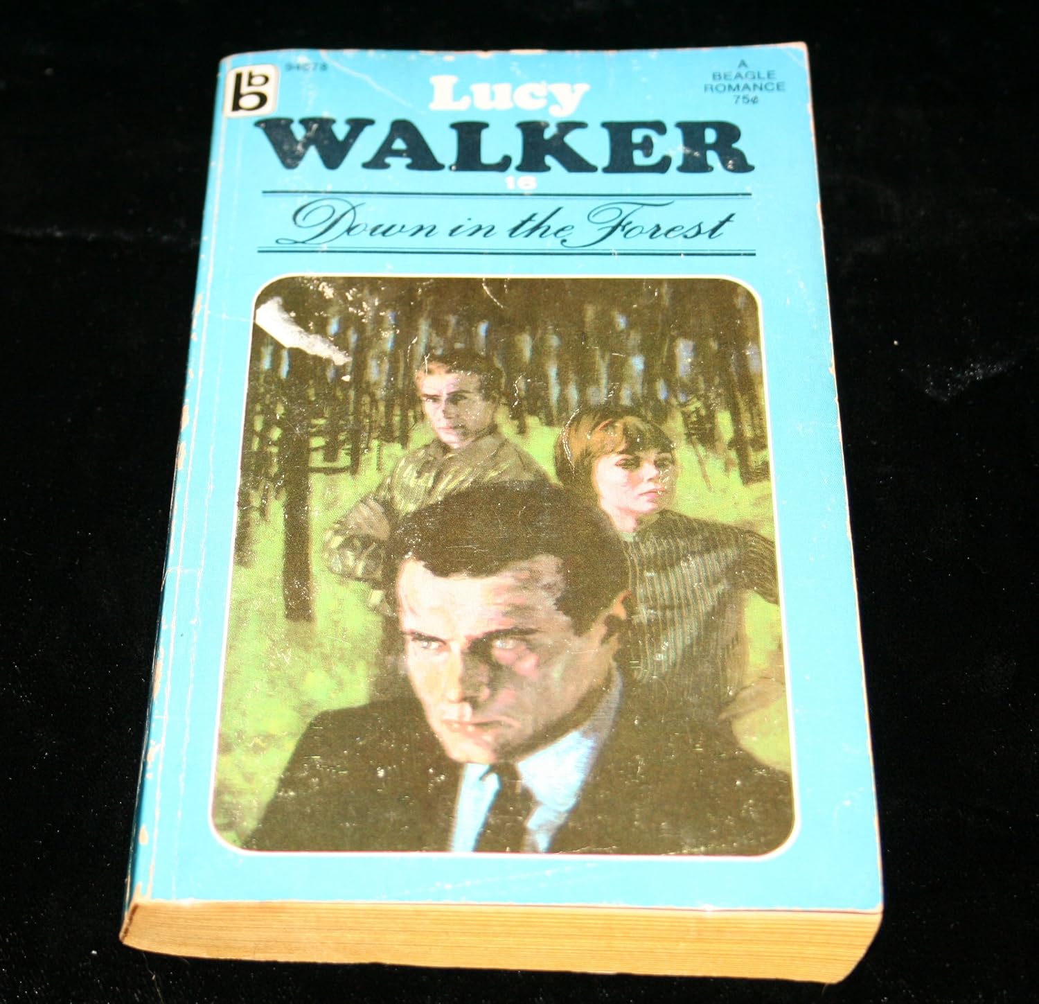 #16 Down in the Forest: Lucy Walker: Amazon.com: Books