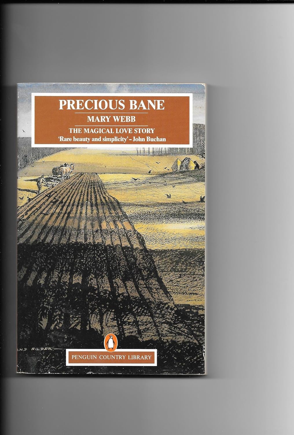 Precious Bane: The Magical Love Story: Webb, Mary: 9780140590098 ...