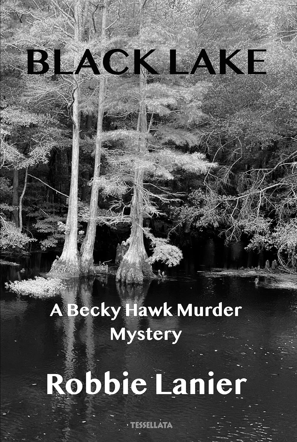 Amazon.com: BLACK LAKE: A Becky Hawk Murder Mystery (The Becky Hawk ...