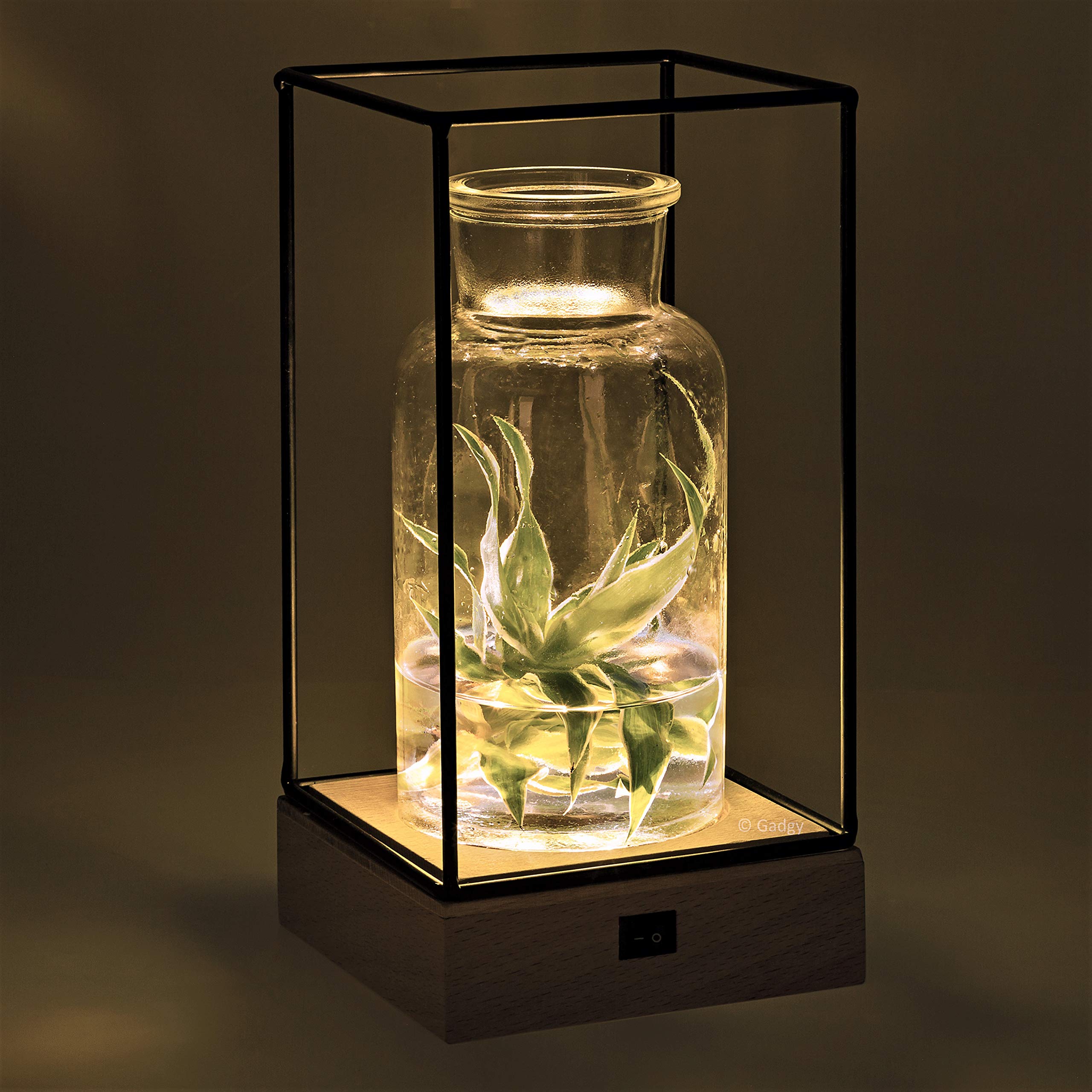 Gadgy® Beleuchtete Glasvase mit LED | Moderne Blumenvase Ø8cm für ...