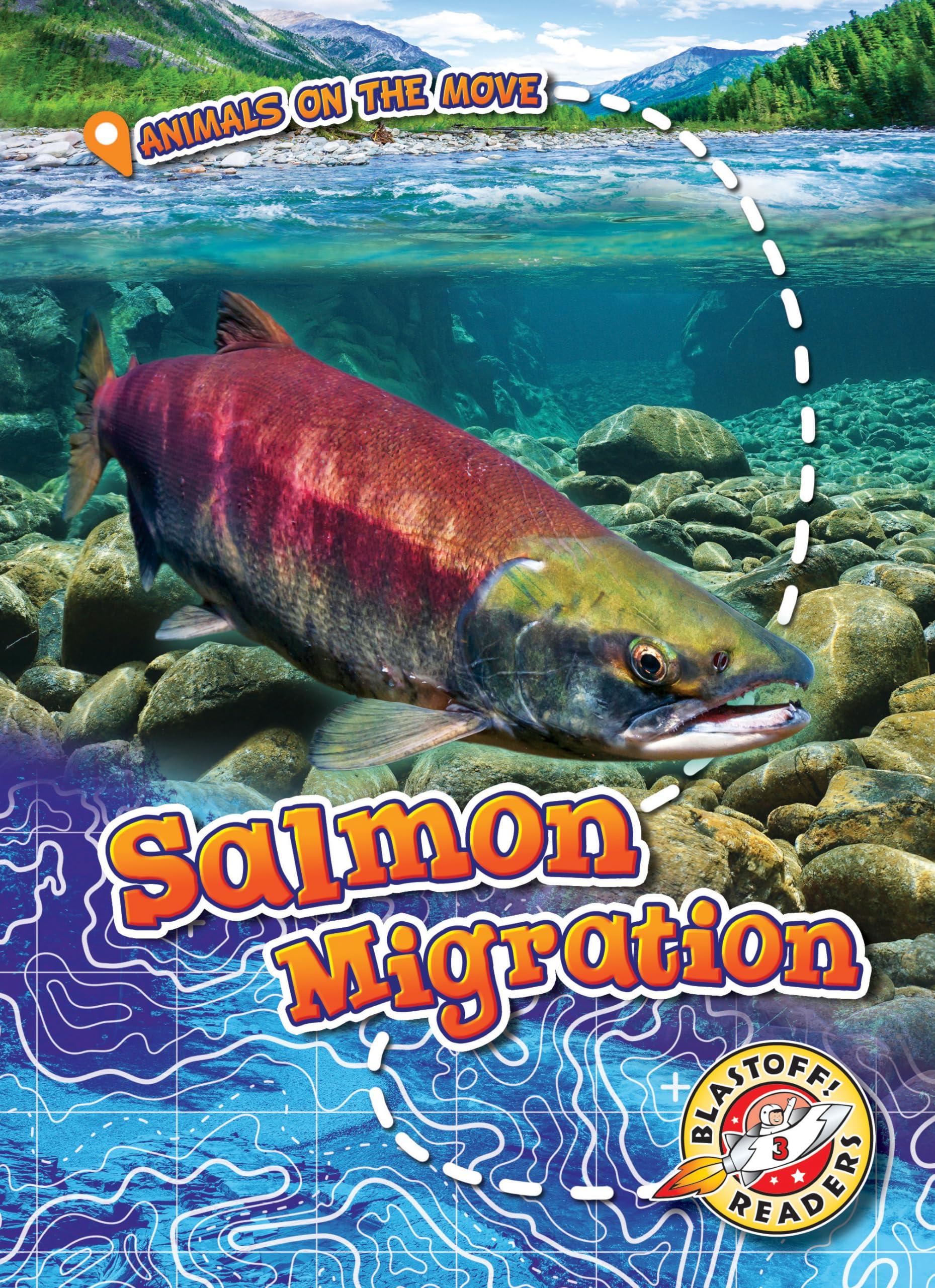 Salmon Migration (Animals on the Move): Kari Schuetz: 9781626178199 ...