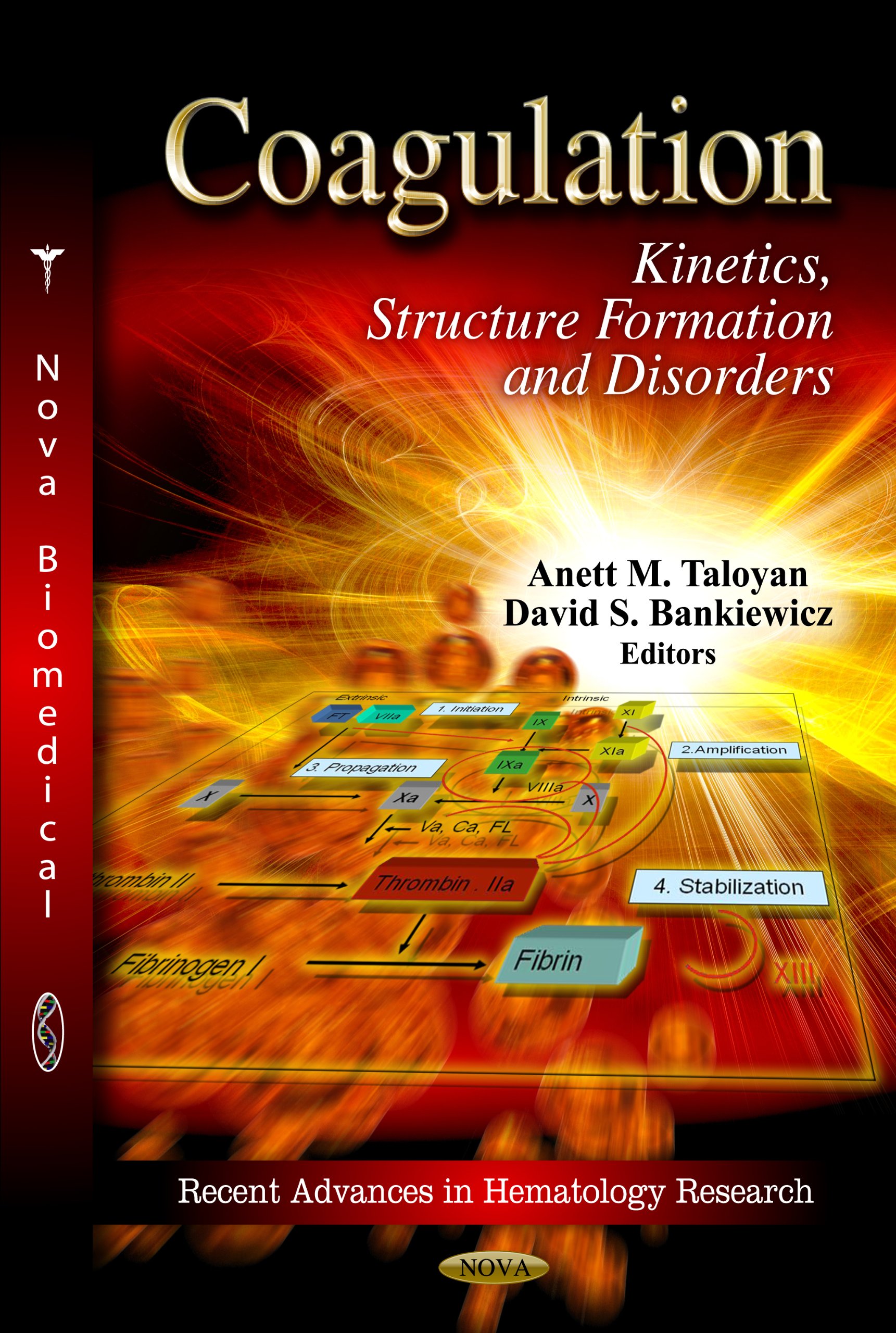 Coagulation: Kinetics, Structure Formation and Disorders (Recent ...