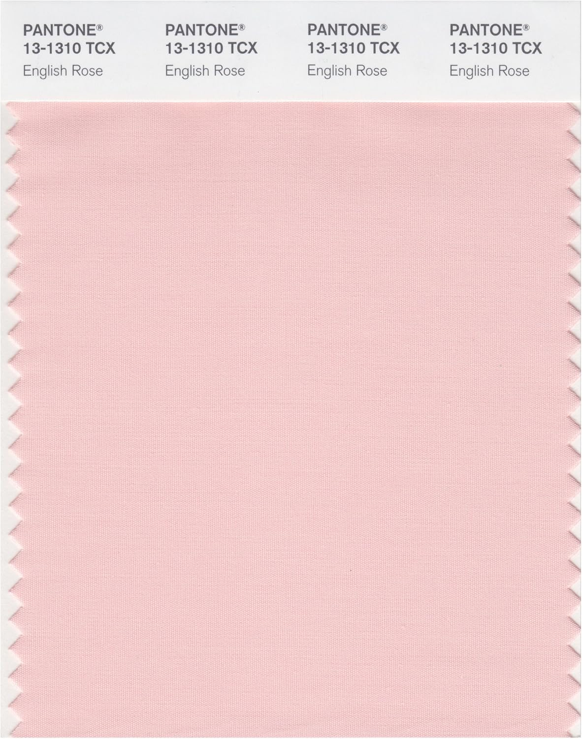 PANTONE Smart 13-1310X Color Swatch Card, English Rose - House Paint ...