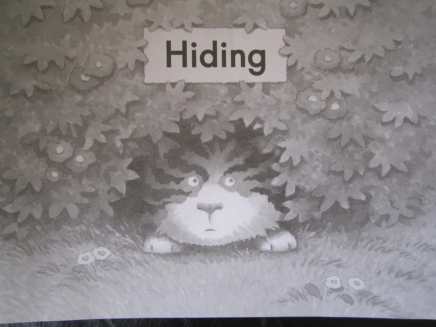 Hiding (Fountas and Pinnell Leveled Literacy Intervention Books, Orange ...